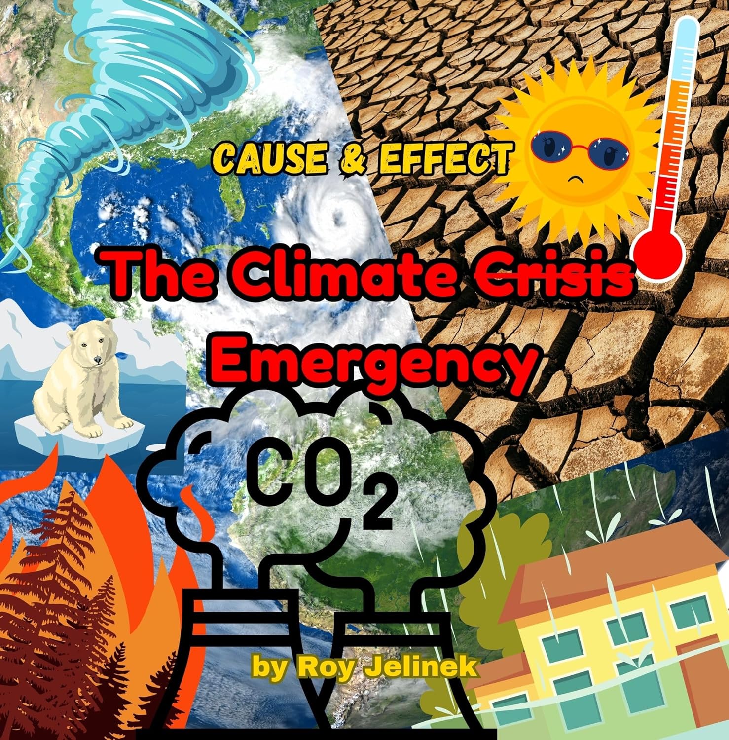 The Climate Crisis Emergency: Climate Change Books for Kids, Cause and ...