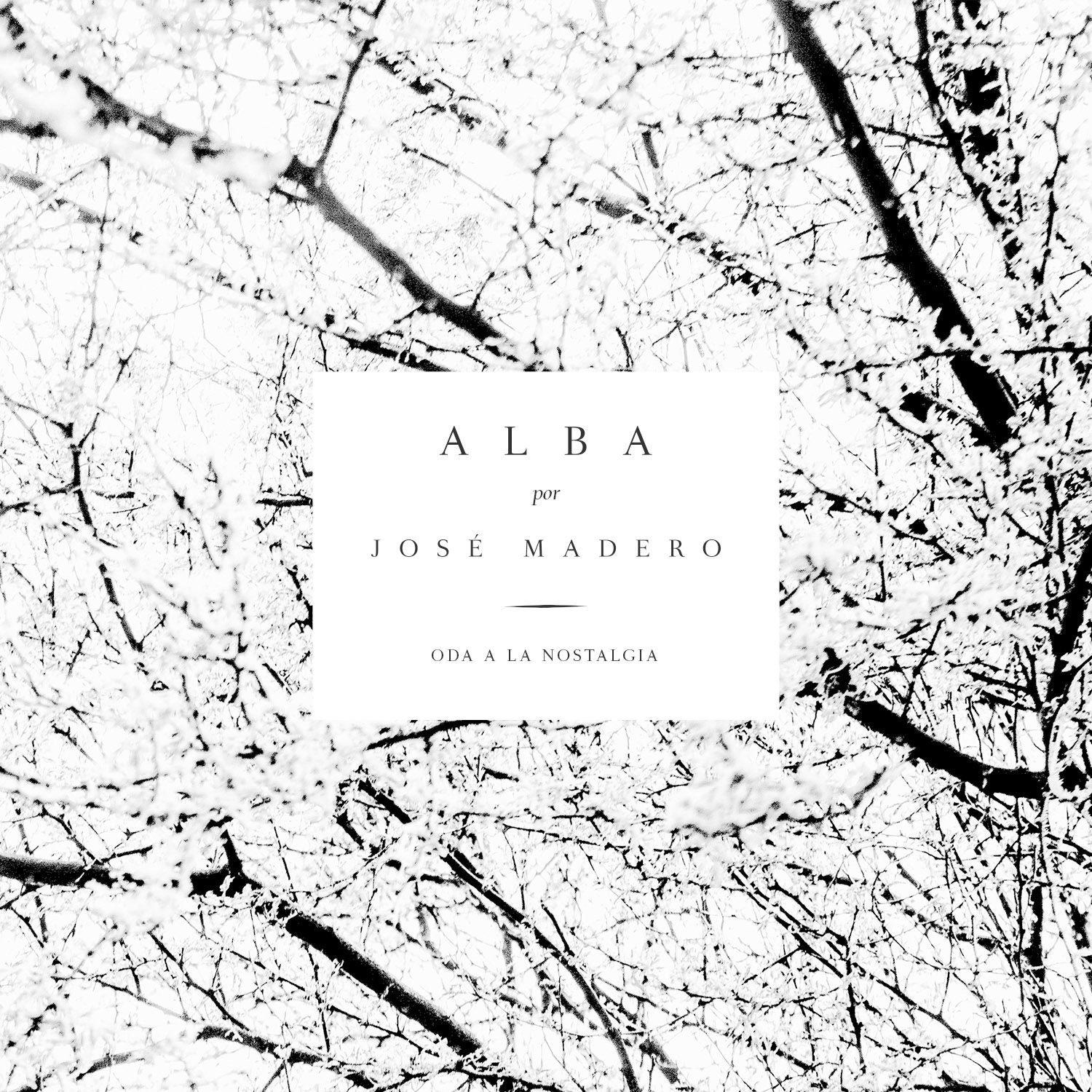 Alba: Amazon.com.mx: Música