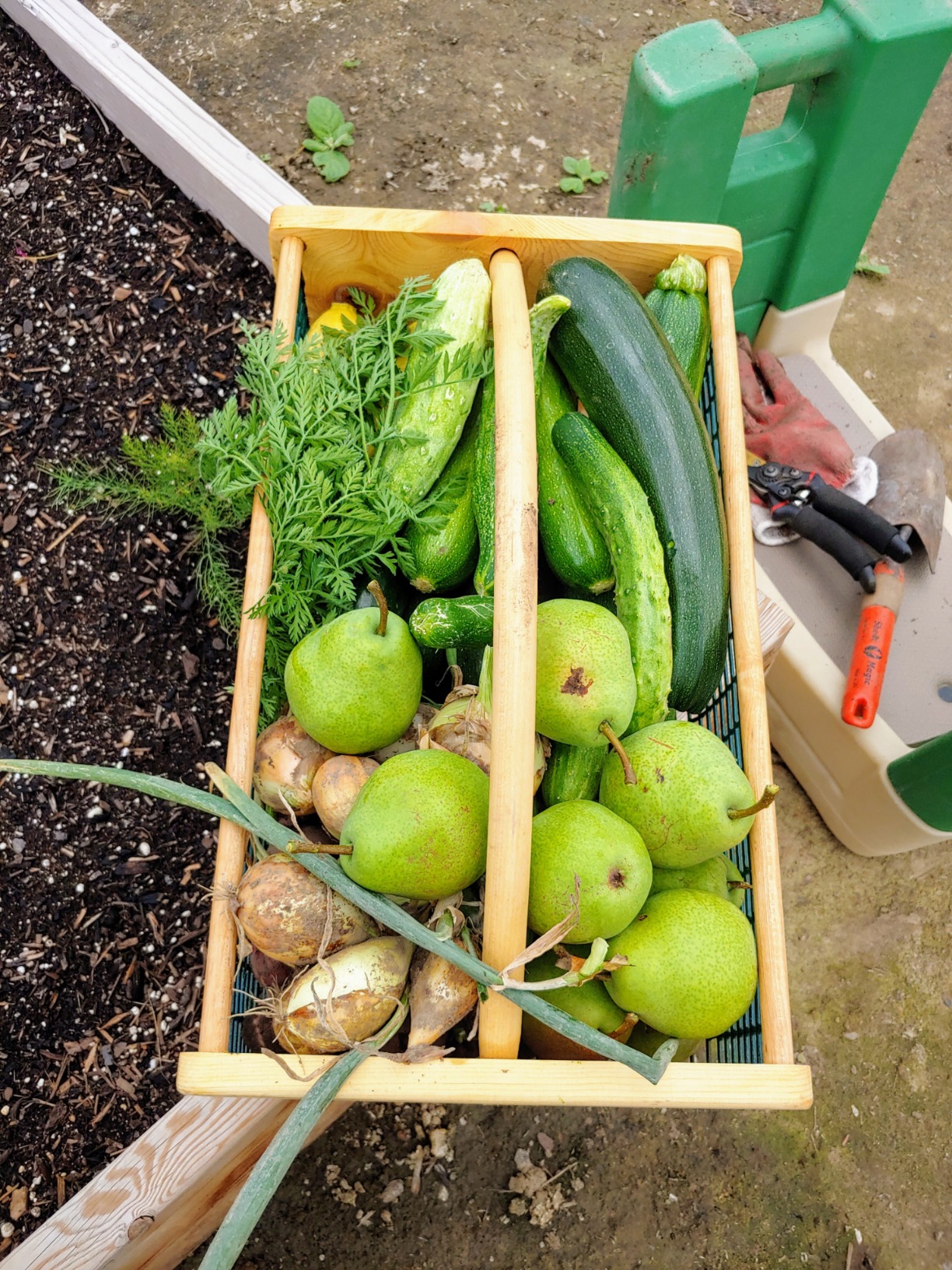 Amazon.com: Original Garden Hod, Harvest Basket/Garden Basket - 19 x 11 ...