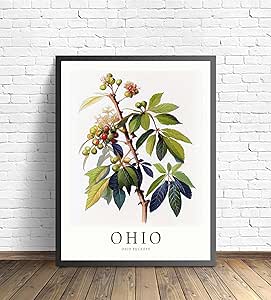 Amazon.com: Ohio State Tree Art Print, Ohio Poster Wall art Decor, Ohio ...