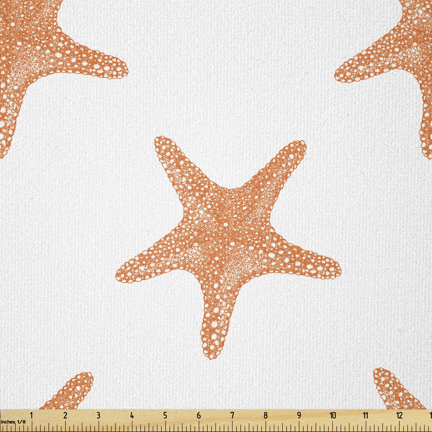 Starfish Graphic
