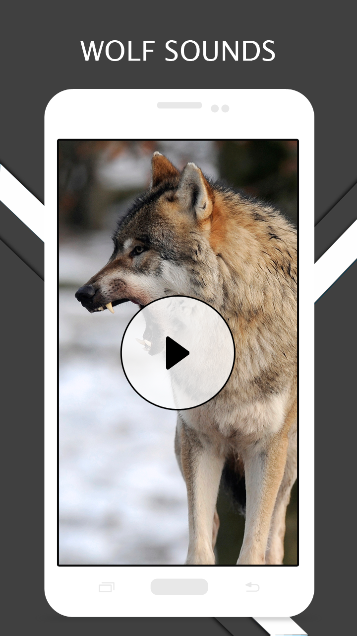 Wolf Sounds - App on Amazon Appstore