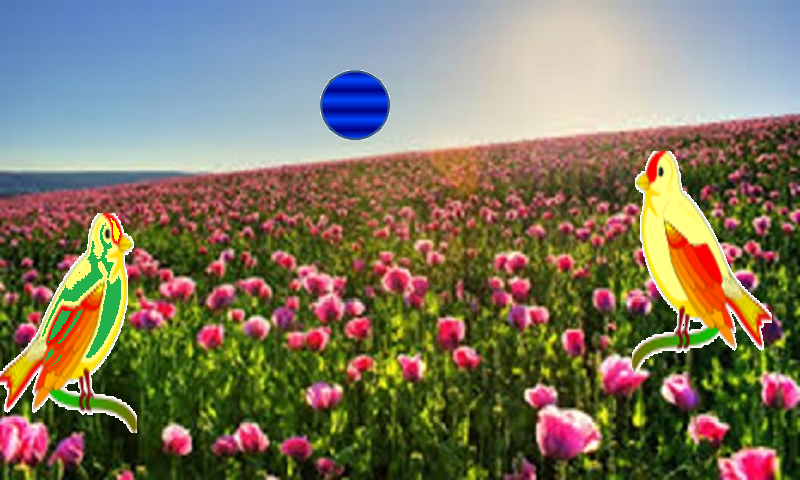 Cuckoo Ball - App on Amazon Appstore