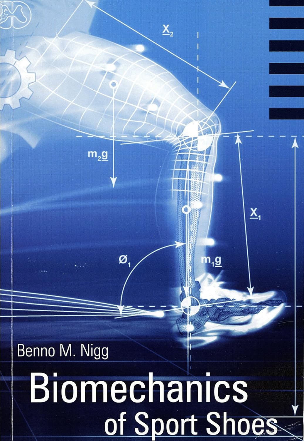 Biomechanics of Sports Shoes : Amazon.de: Bücher