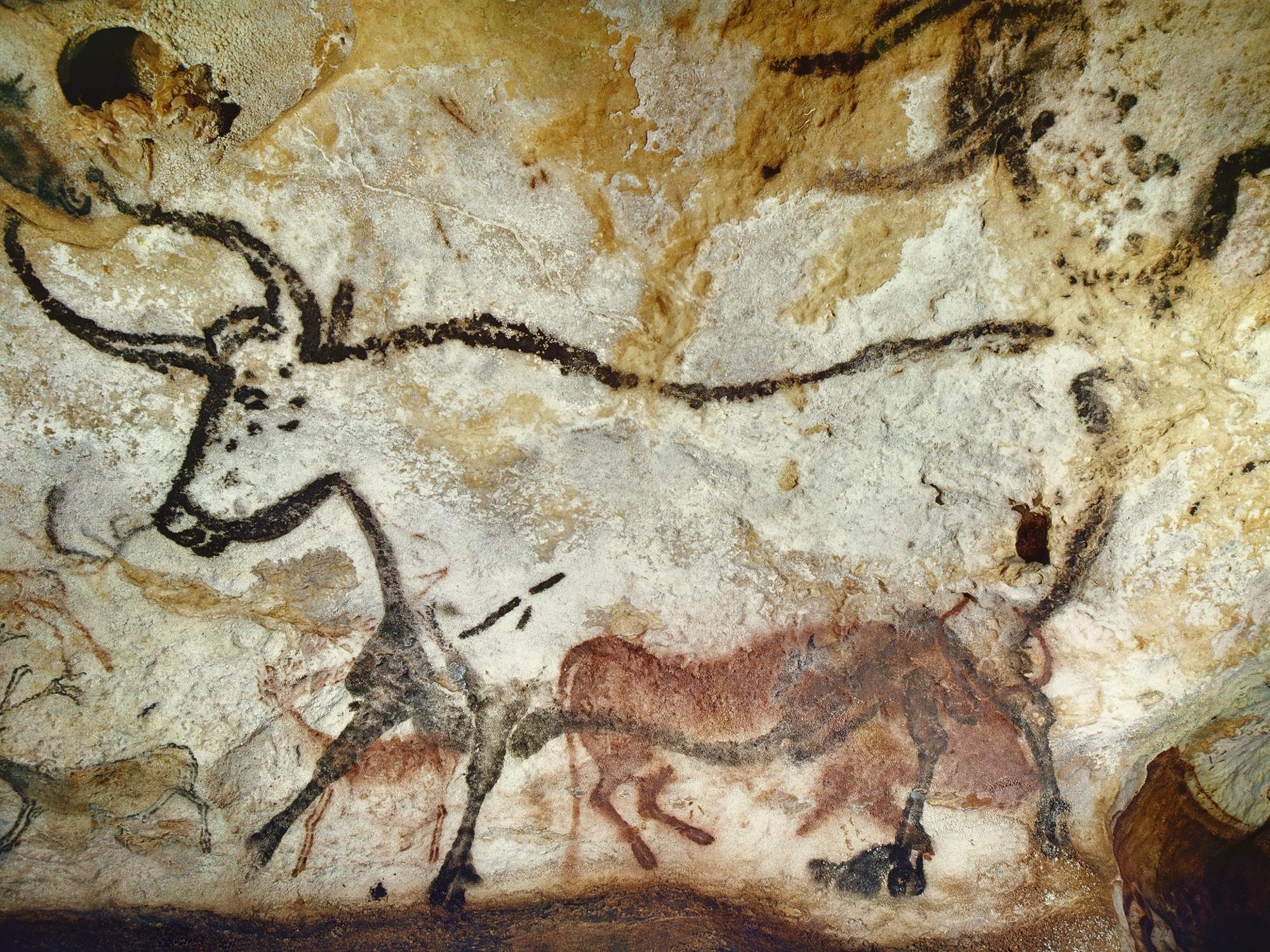 Amazon.com: ART.COM Wall Art Prints Cave of Lascaux, Great Hall, Left ...