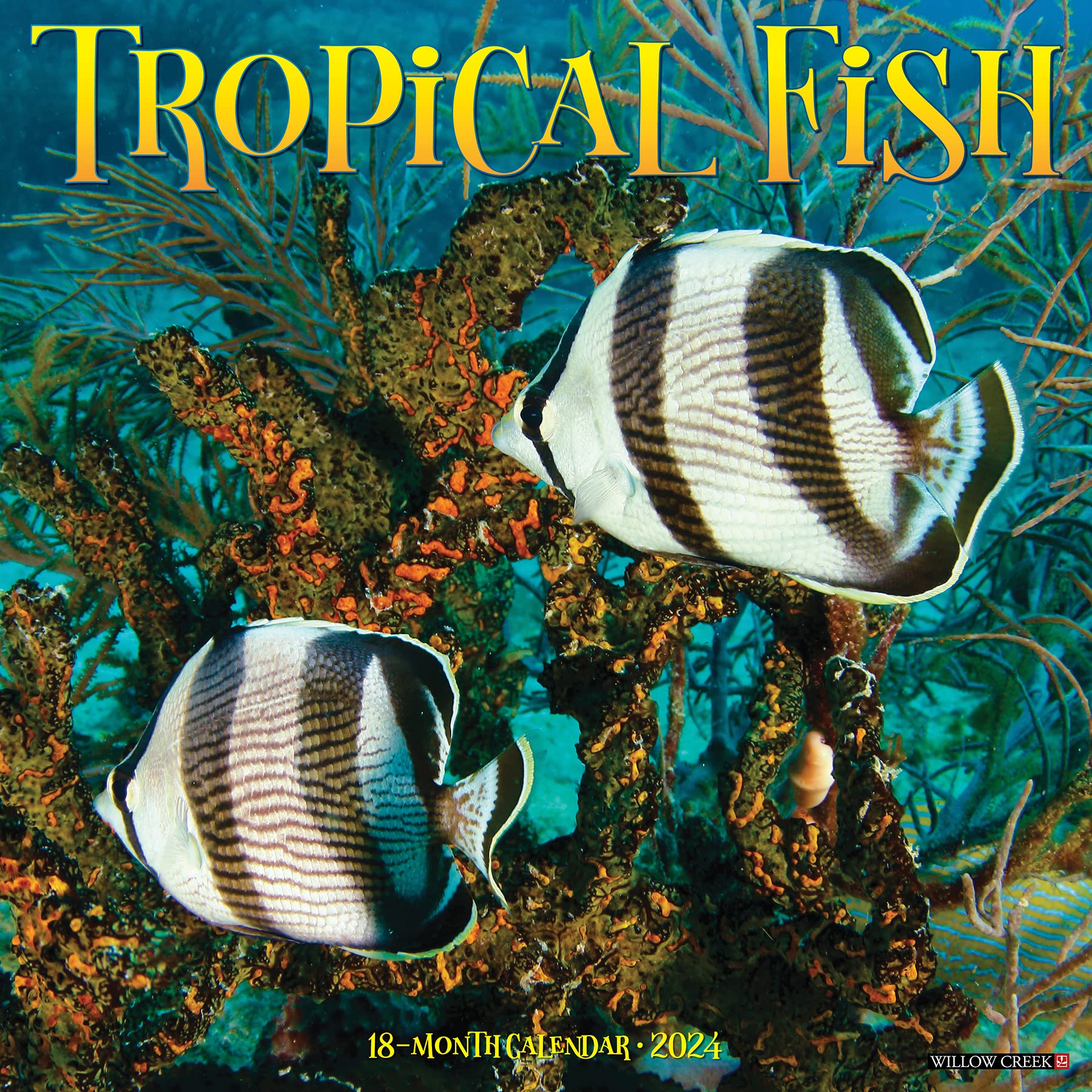 Amazon.com: Tropical Fish 2024 Calendar: 9781549235641: Willow Creek Press