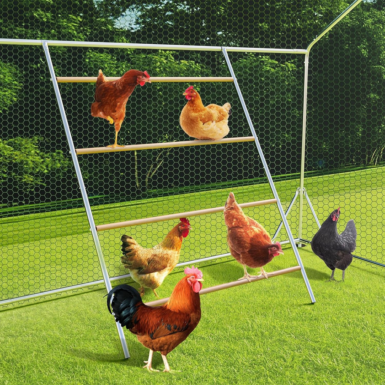 Amazon.com: Chicken Perch Roosting Bars for Chickens in Coop Chicken ...