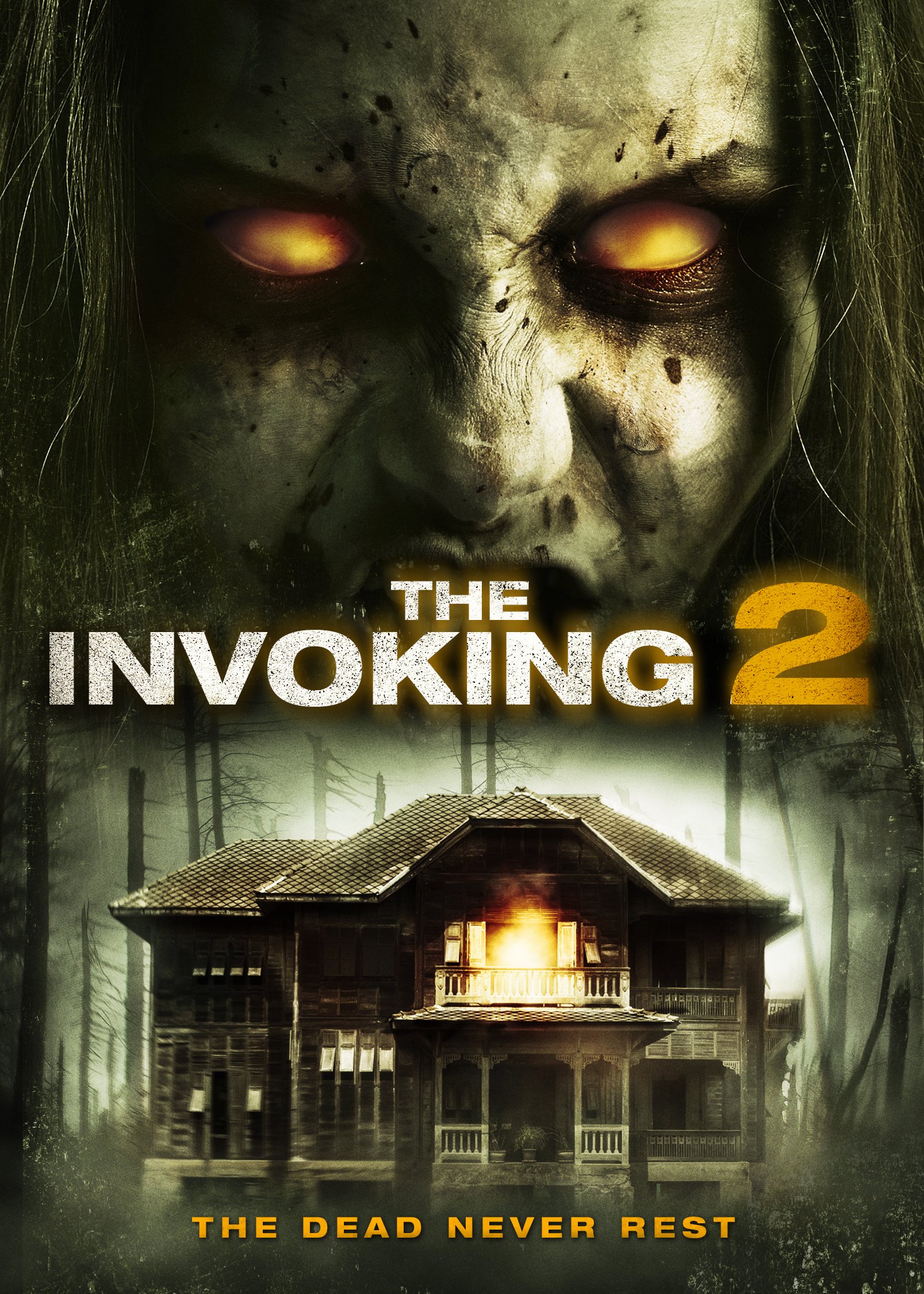 The Invoking 2 [USA] [DVD]: Amazon.es: Andrew Fleming, Allen Lowman ...