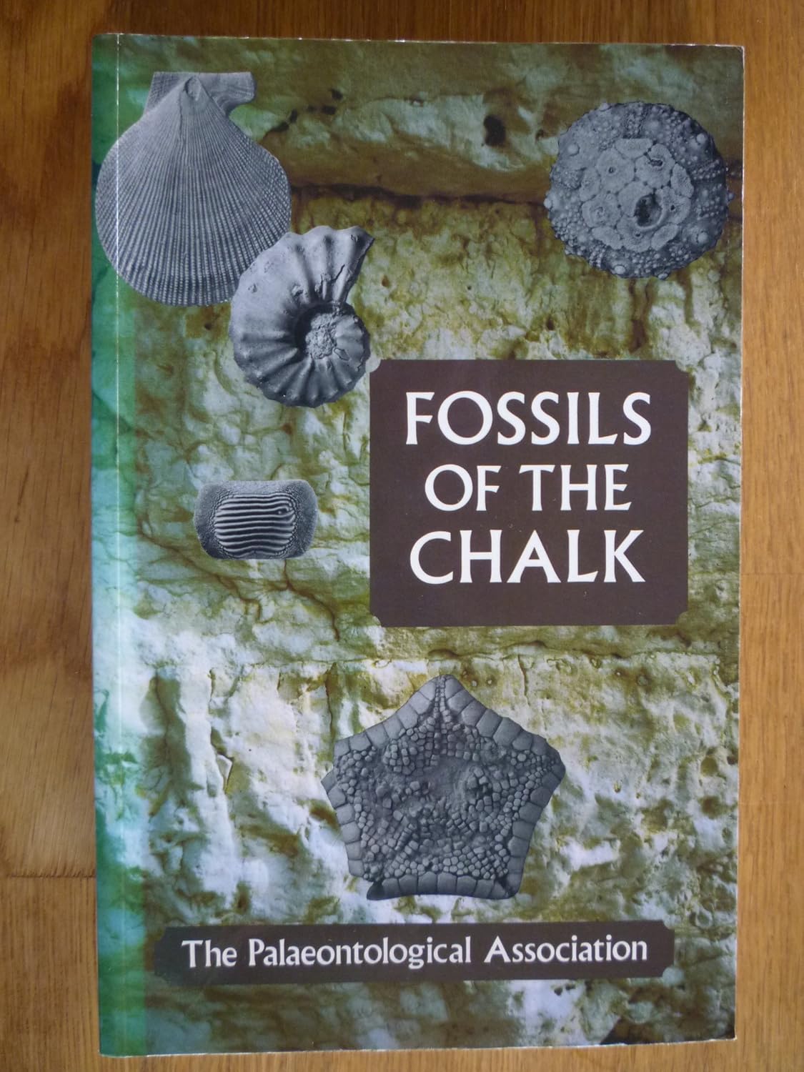 Field Guide to Fossils (Palaeontological Association Field Guides to ...