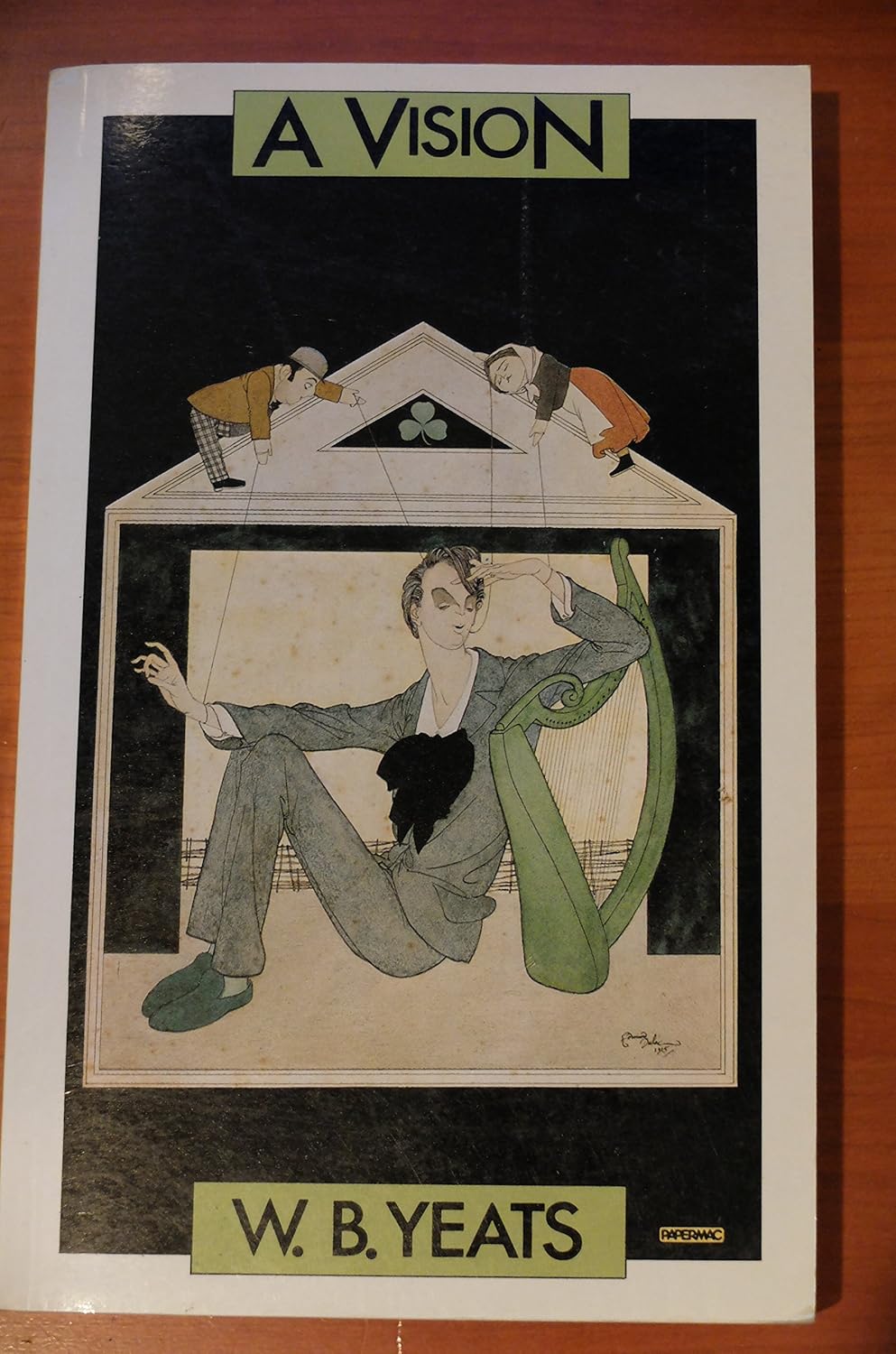 The Vision (Papermacs): W B Yeats: 9780333309803: Amazon.com: Books