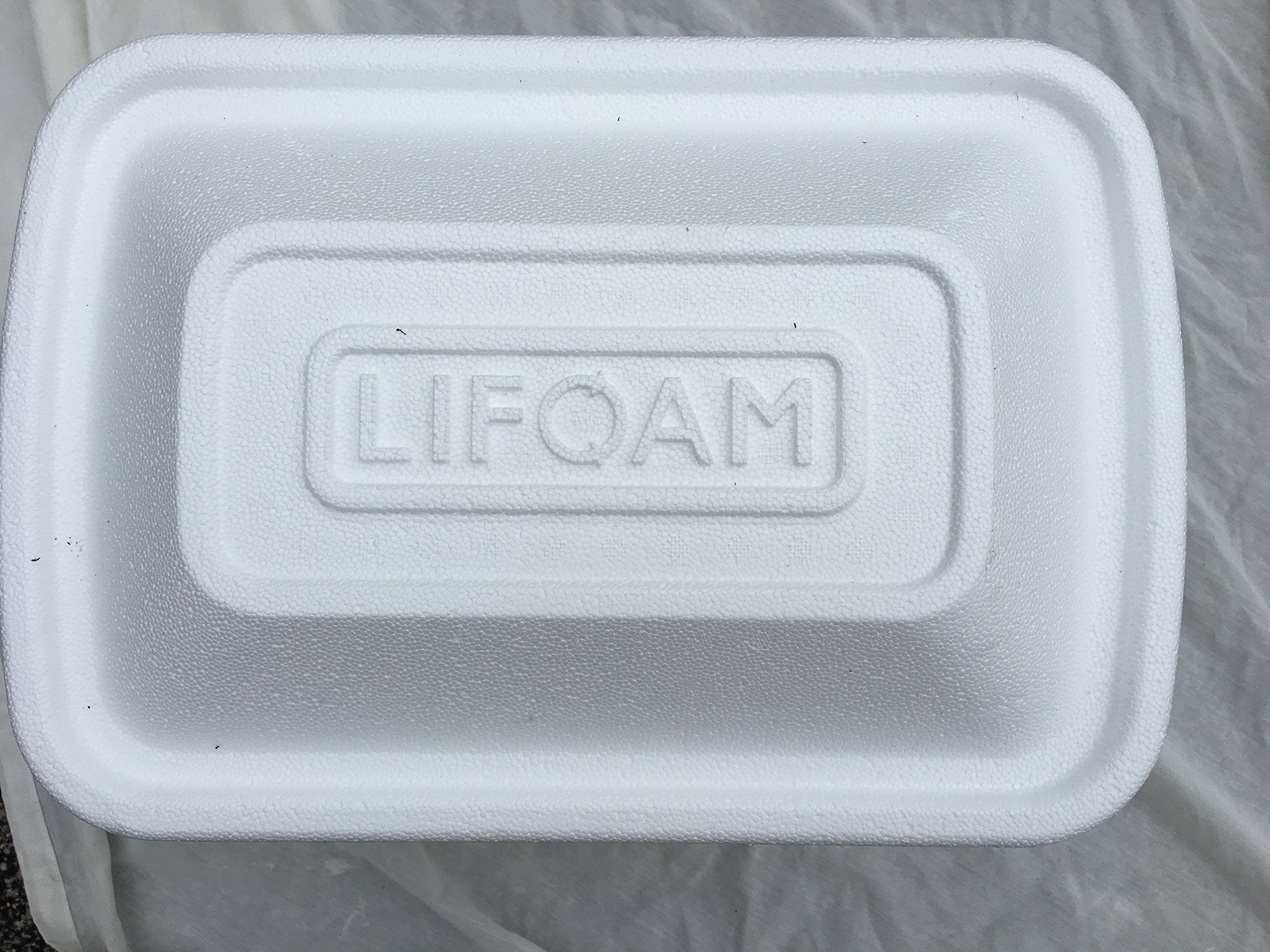 Lifoam Styrofoam Cooler Molded Side Grips 30 Qt 17 In. X 12 In. X 14-3/ ...