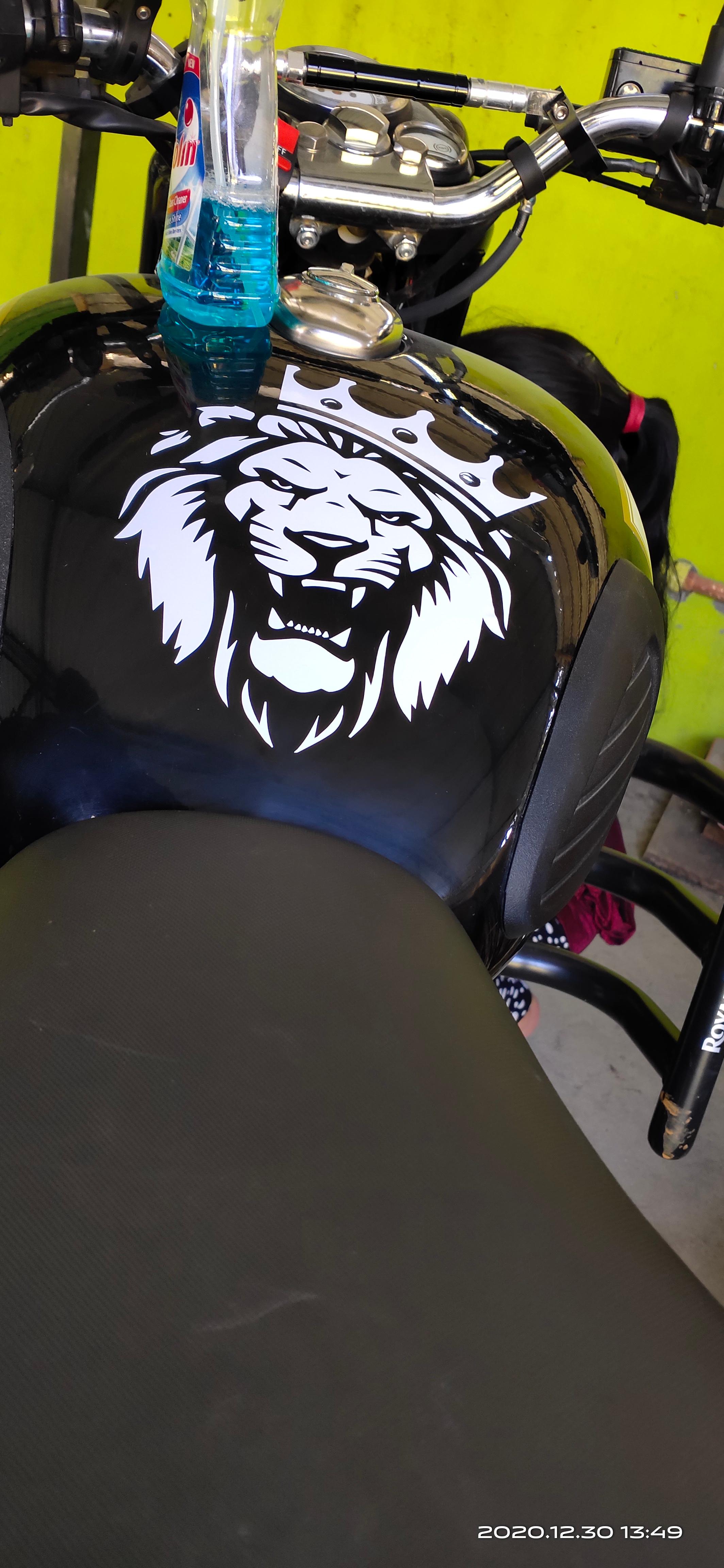 SIGN EVER Lion The King Car Exterior Sides Bumper Hood Vinyl Decals ...