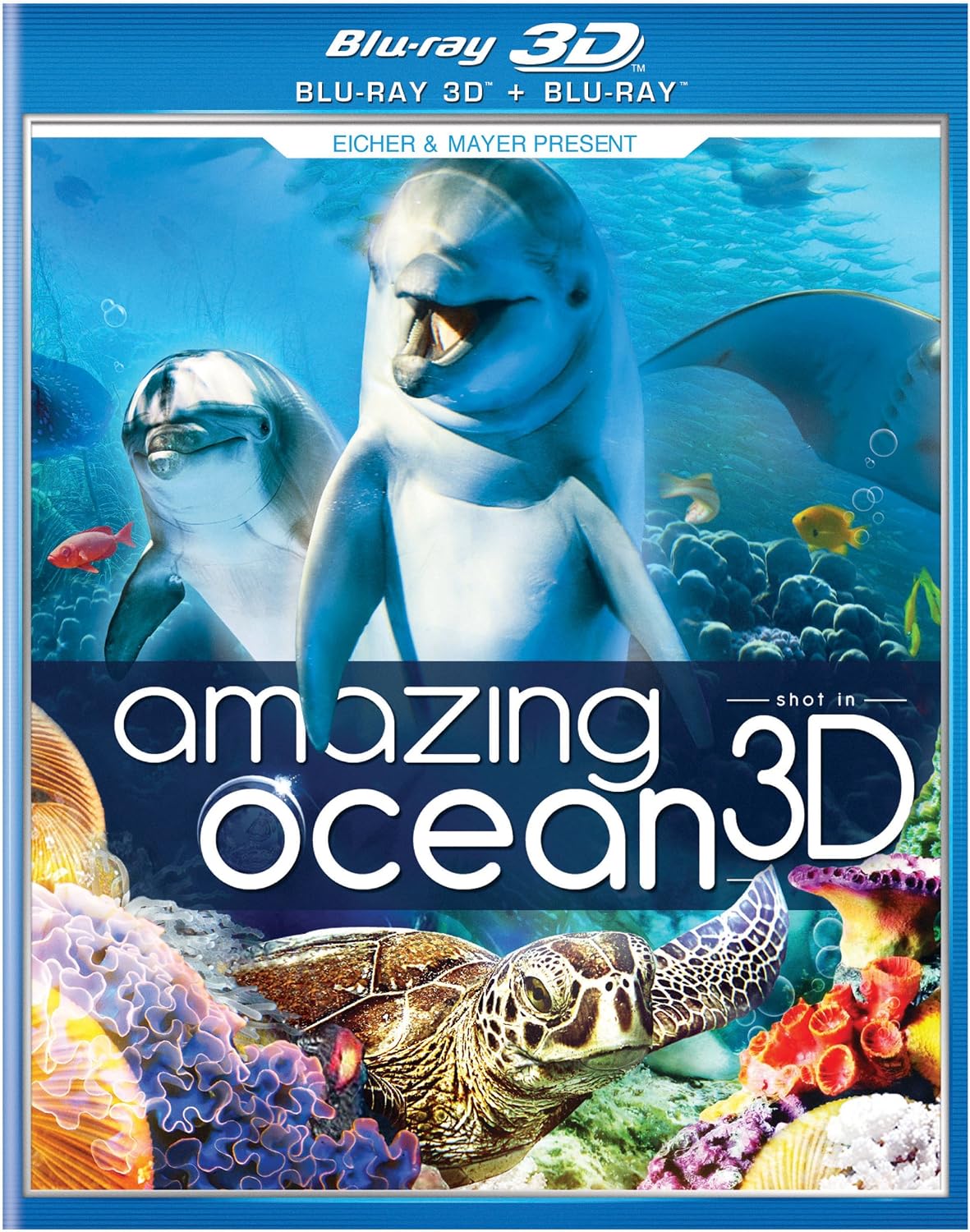 Amazing Ocean 3D [Blu-ray]: Amazon.ca: Glen McCready, Benjamin Eicher ...