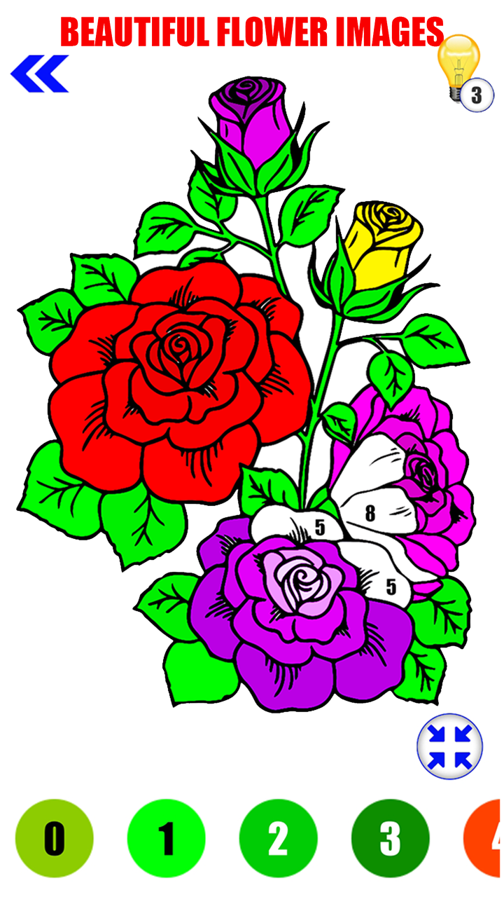 Adult Color By Number-Paint By Number Book Free:Amazon.com:Appstore for ...