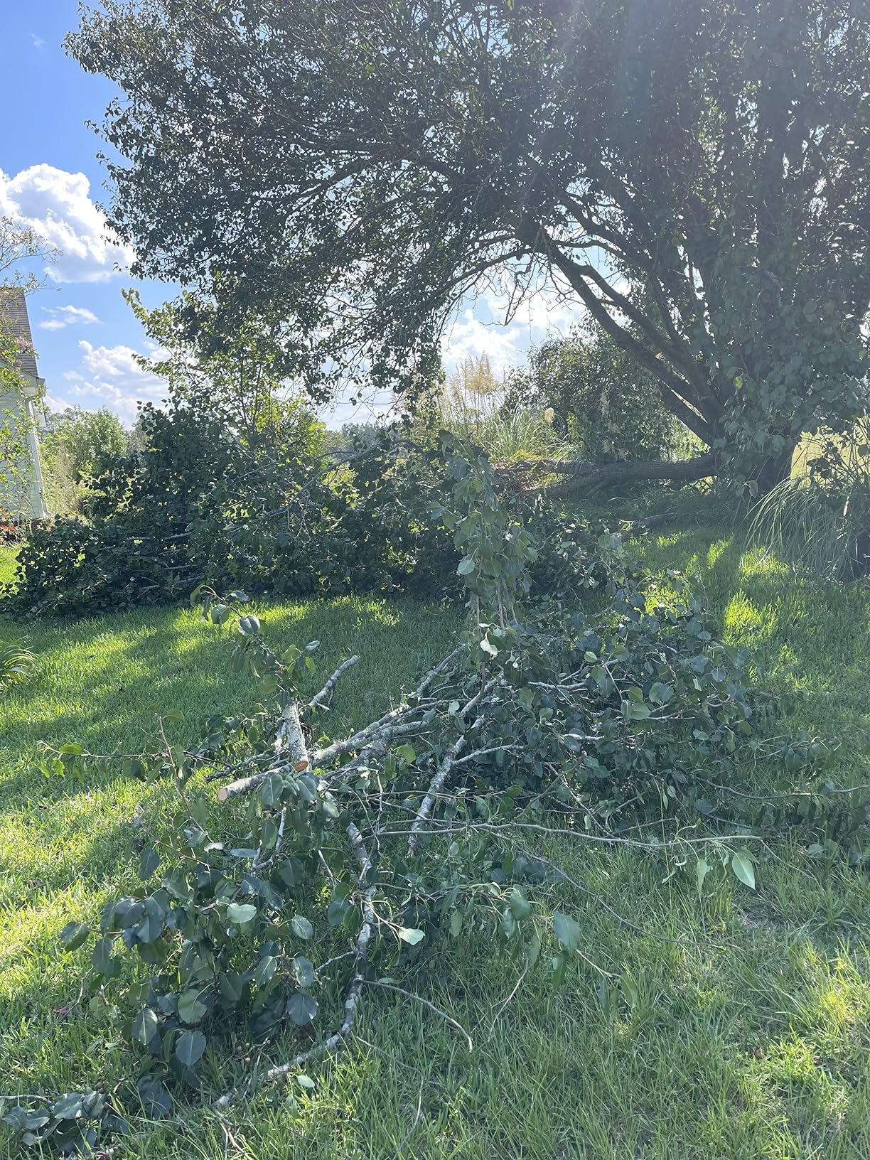 $9/mo - Finance SENDRY Mini Chainsaw 6-Inch, Powerful Cordless ...