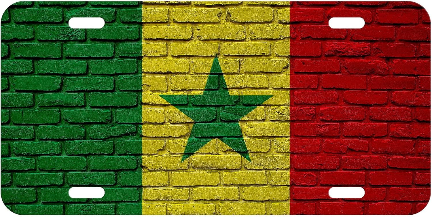 Amazon.com: Aluminum License Plate - Flag of Senegal (Senegalese ...
