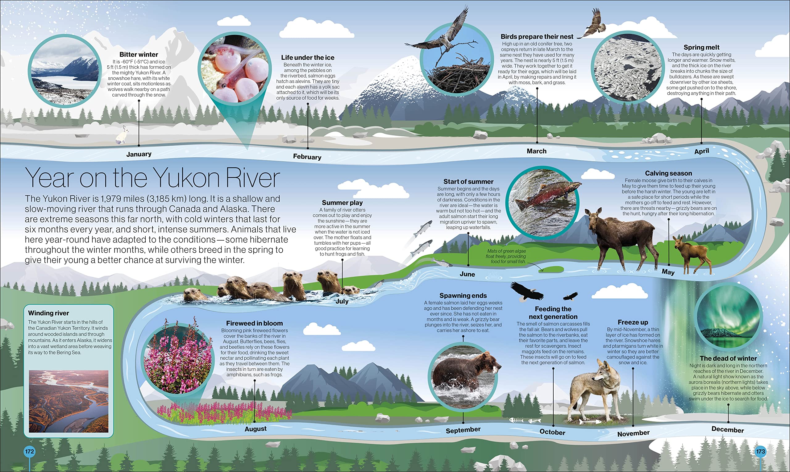 Timelines of Nature: From Mountains and Glaciers to Mayflies and ...