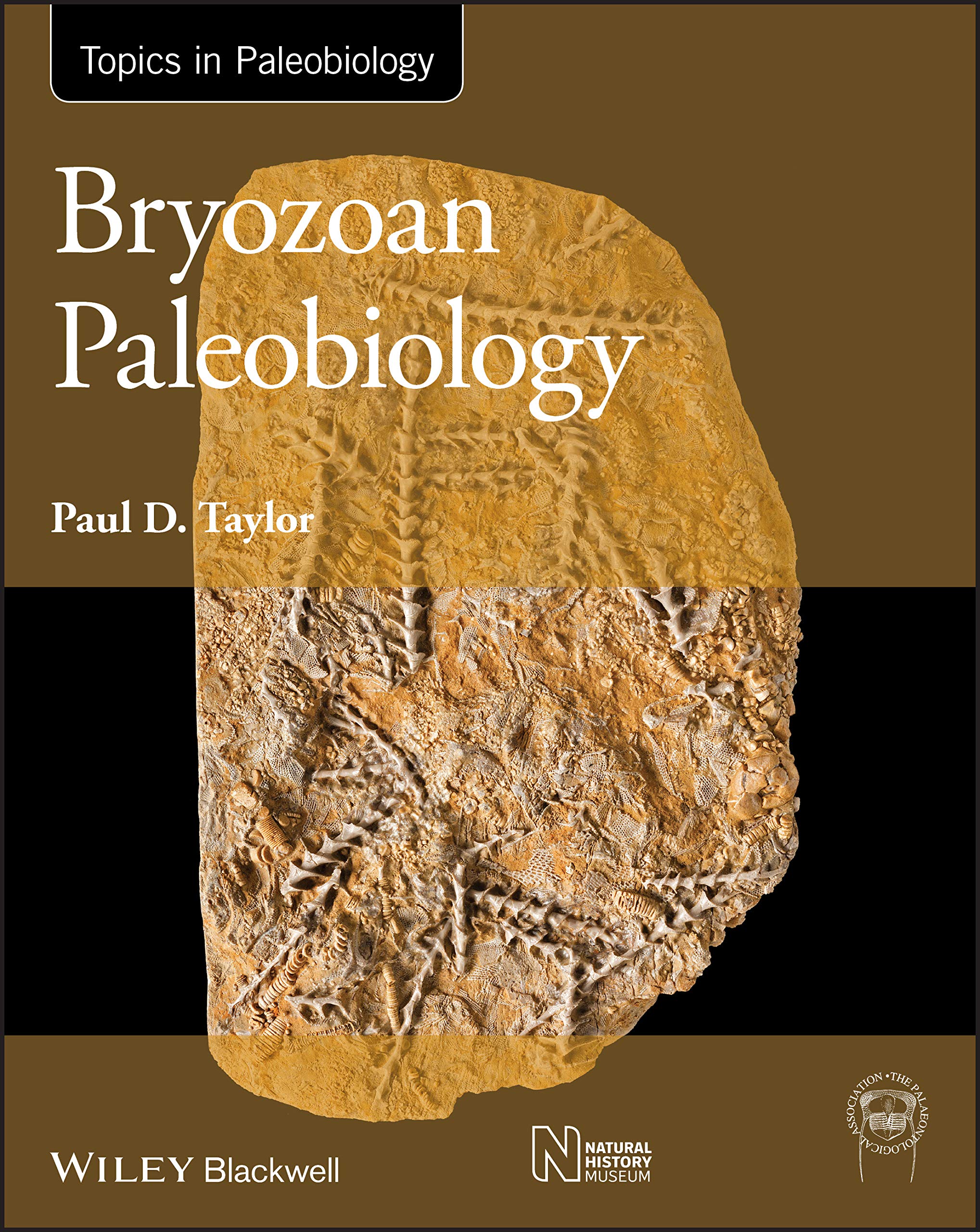 Snapklik.com : Bryozoan Paleobiology