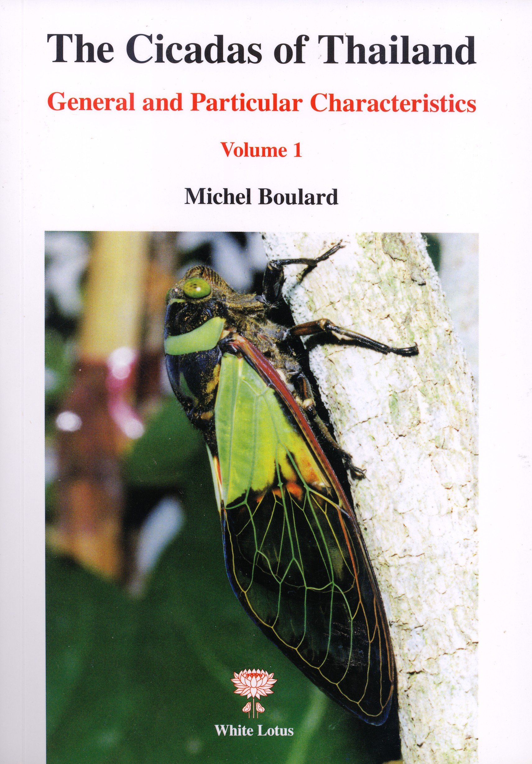 Amazon | Cicadas of Thailand | Boulard, Michel | Biological Sciences