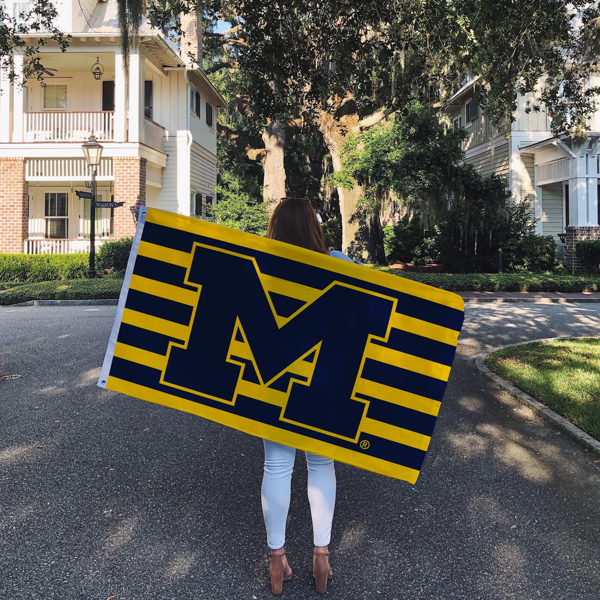 Michigan Football Desert Cactus University Of Michigan Flag Wolverines ...