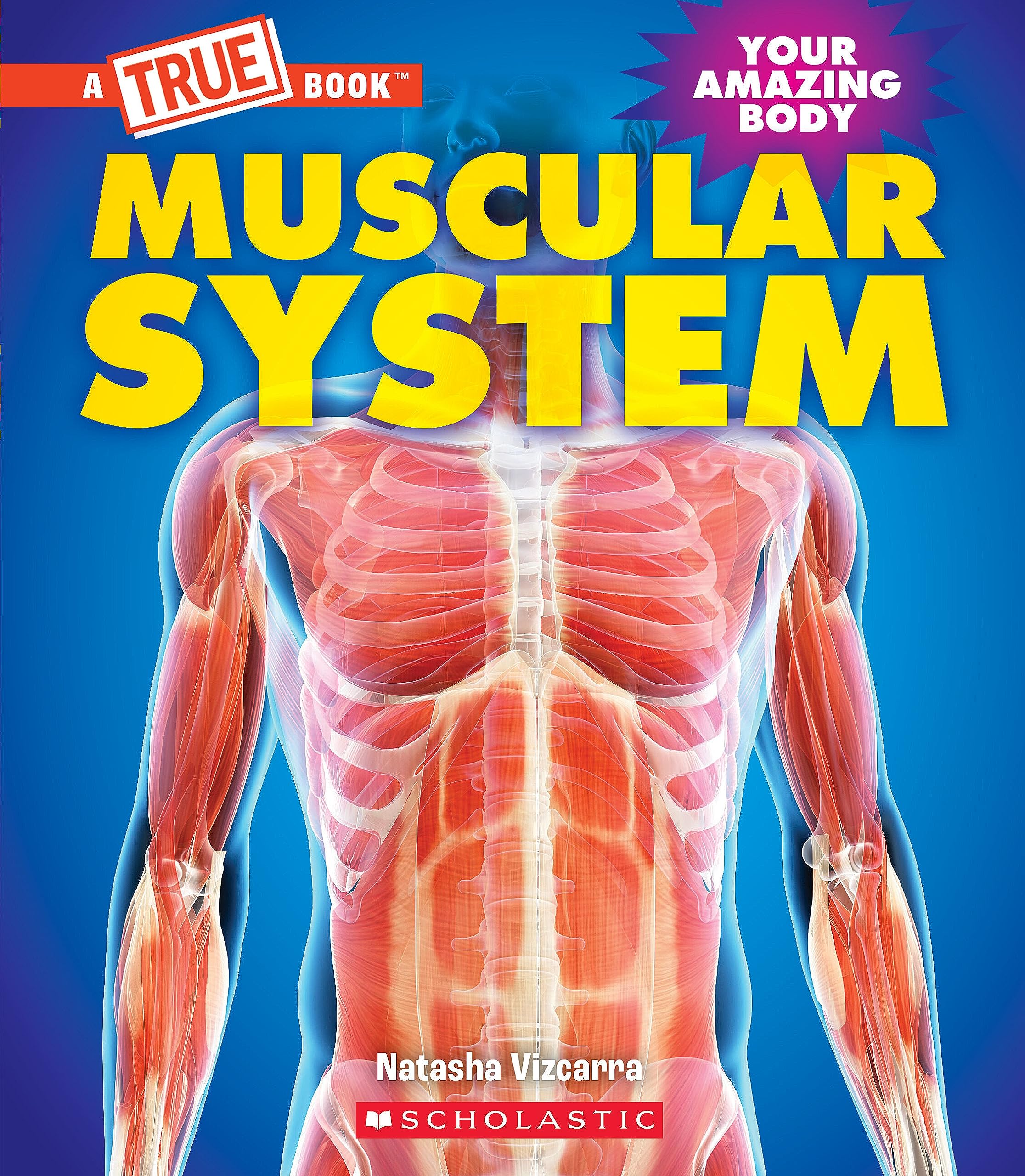 Muscular System (A True Book: Your Amazing Body): Vizcarra, Natasha ...