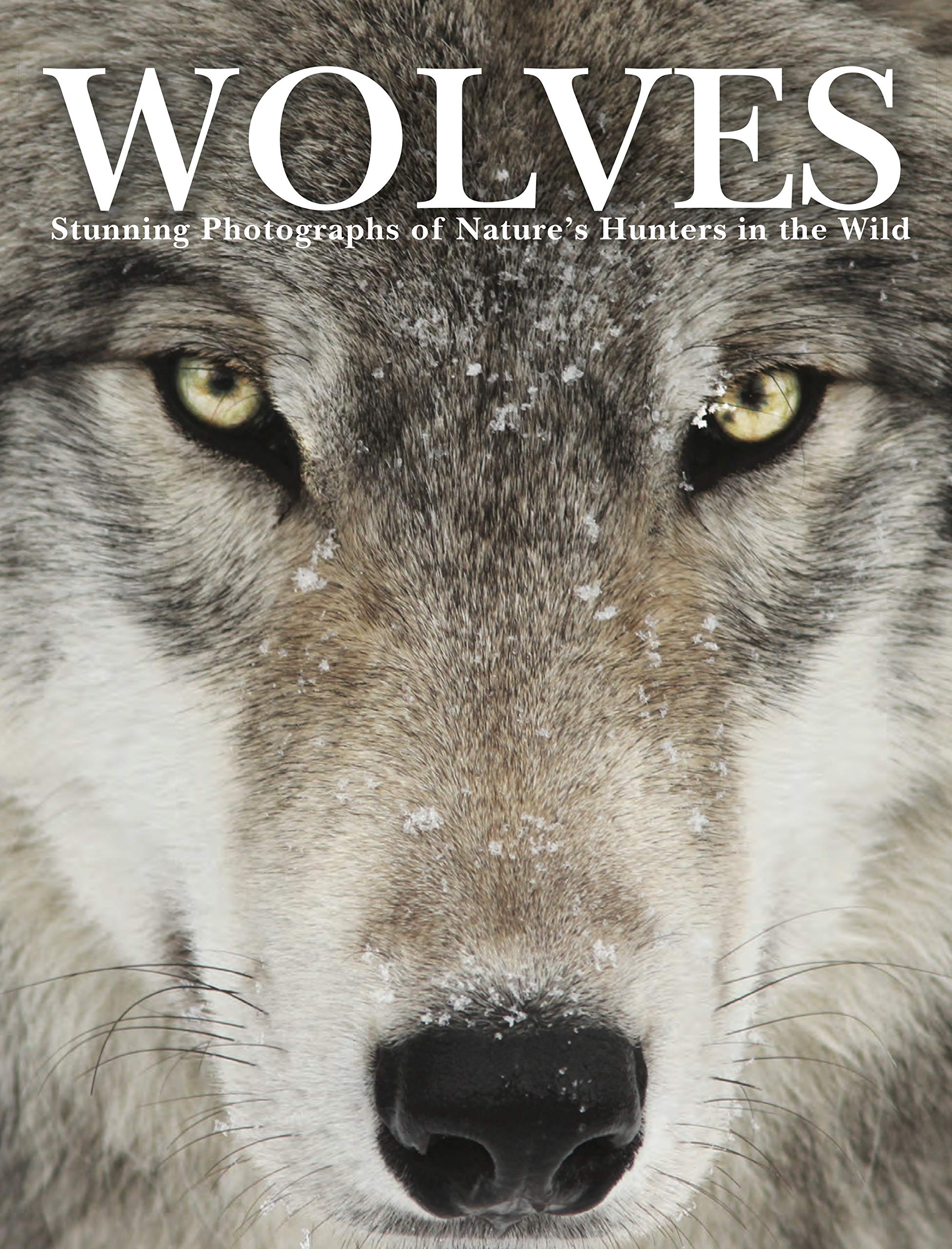 Amazon.com: Wolves: 9781782747673: Tom Jackson: Books