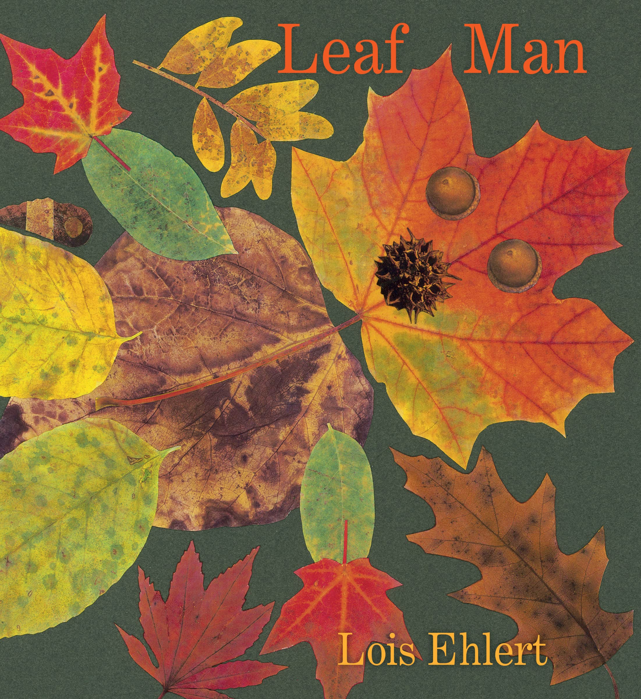 Amazon.com: Leaf Man Board Book: 9780063286726: Ehlert, Lois, Ehlert ...