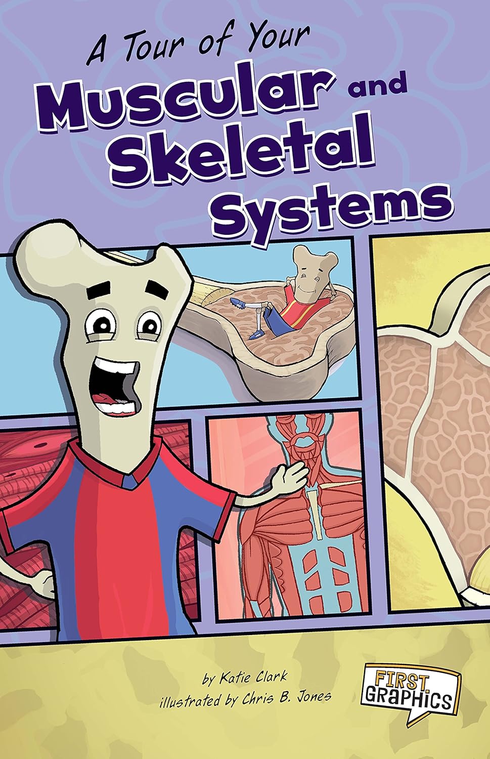 A Tour of Your Muscular and Skeletal Systems (First Graphics: Body ...