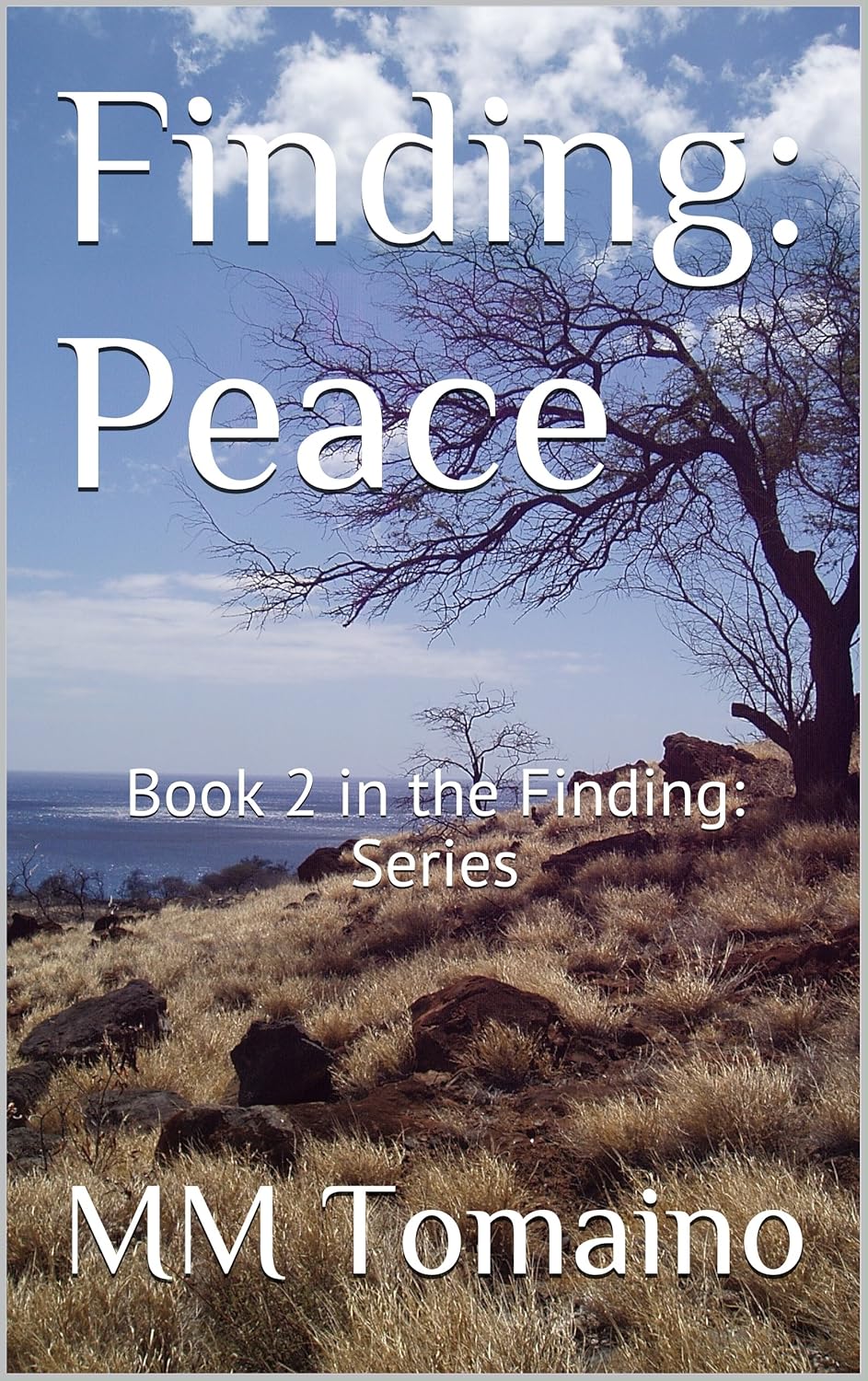 Finding: Peace: Book 2 in the Finding: Series (Finding: Answers ...