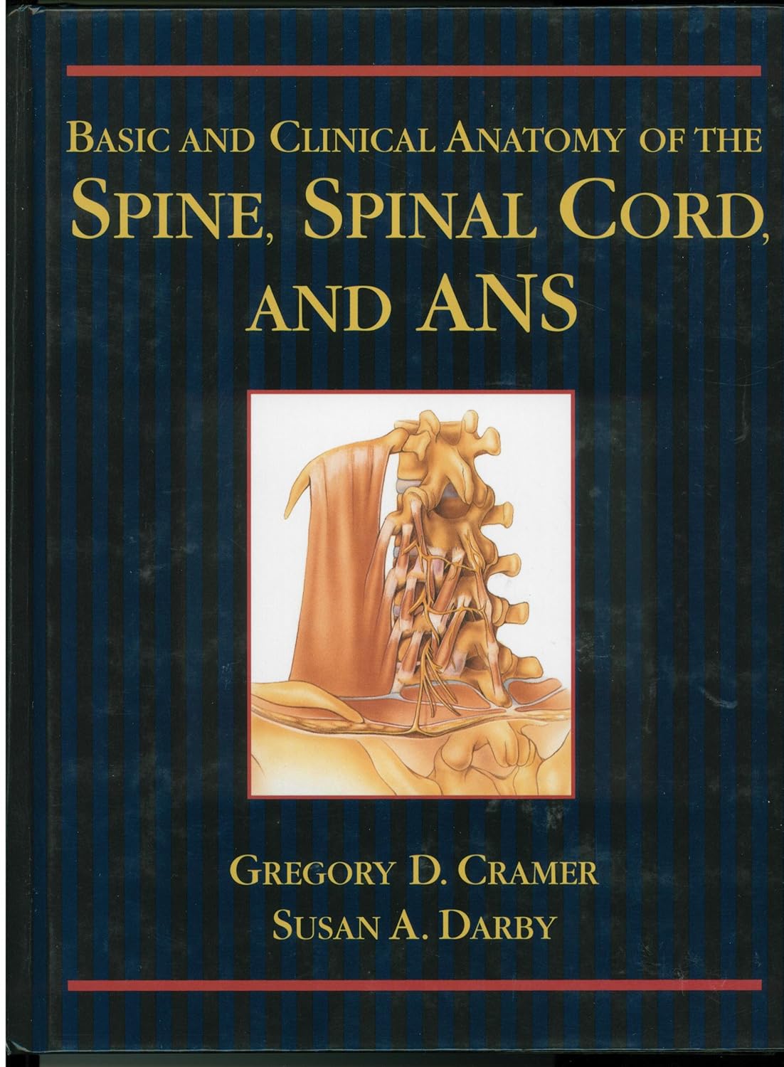 Basic and Clinical Anatomy of the Spine, Spinal Cord, and Ans ...