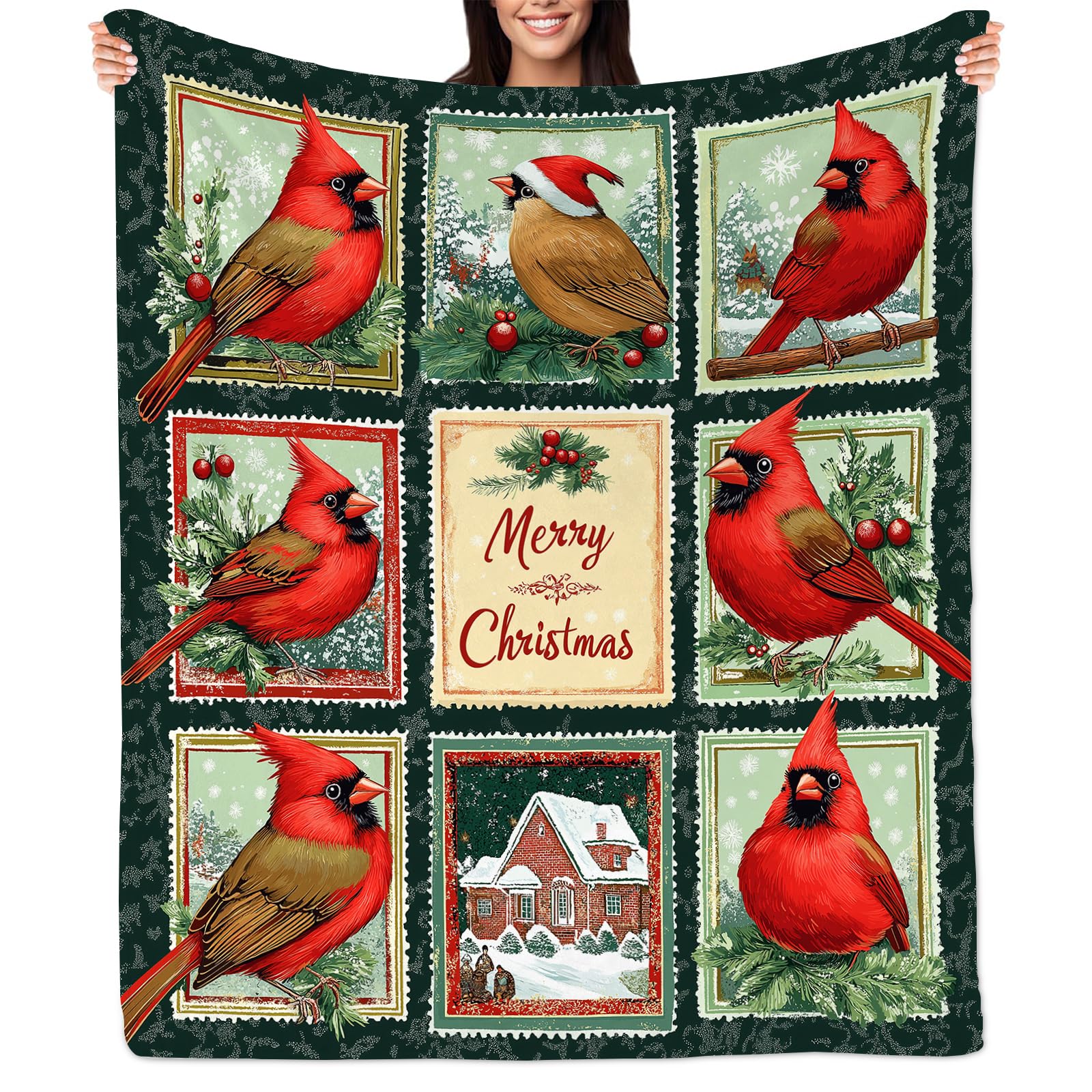 Amazon.com: omosri Christmas Throw Blanket, Red Cardinals Winter ...