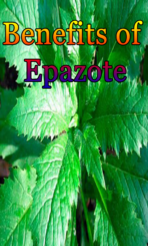 Benefits of Epazote - App on the Amazon Appstore