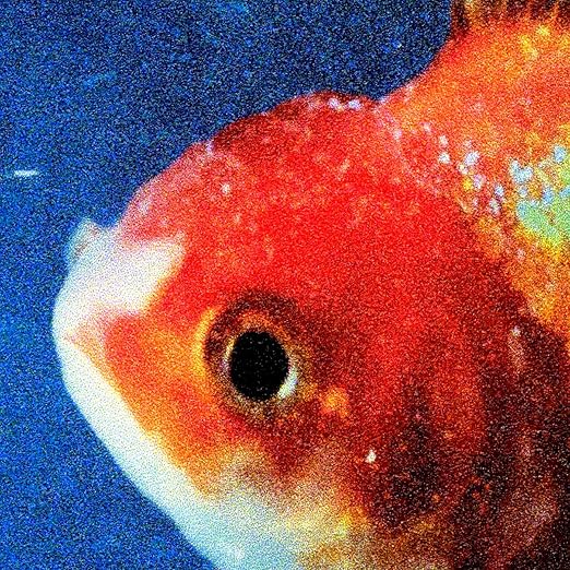 Big Fish Theory : Vince Staples: Amazon.es: CD y vinilos}