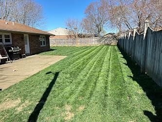 Amazon.com : SeedRanch Falcon IV Turf Type Tall Fescue Grass Seeds - 25 ...