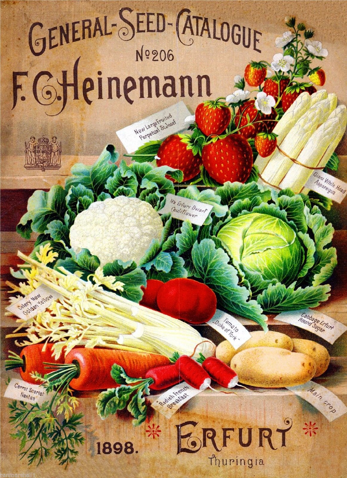 Vintage Vegetable Seed Packets