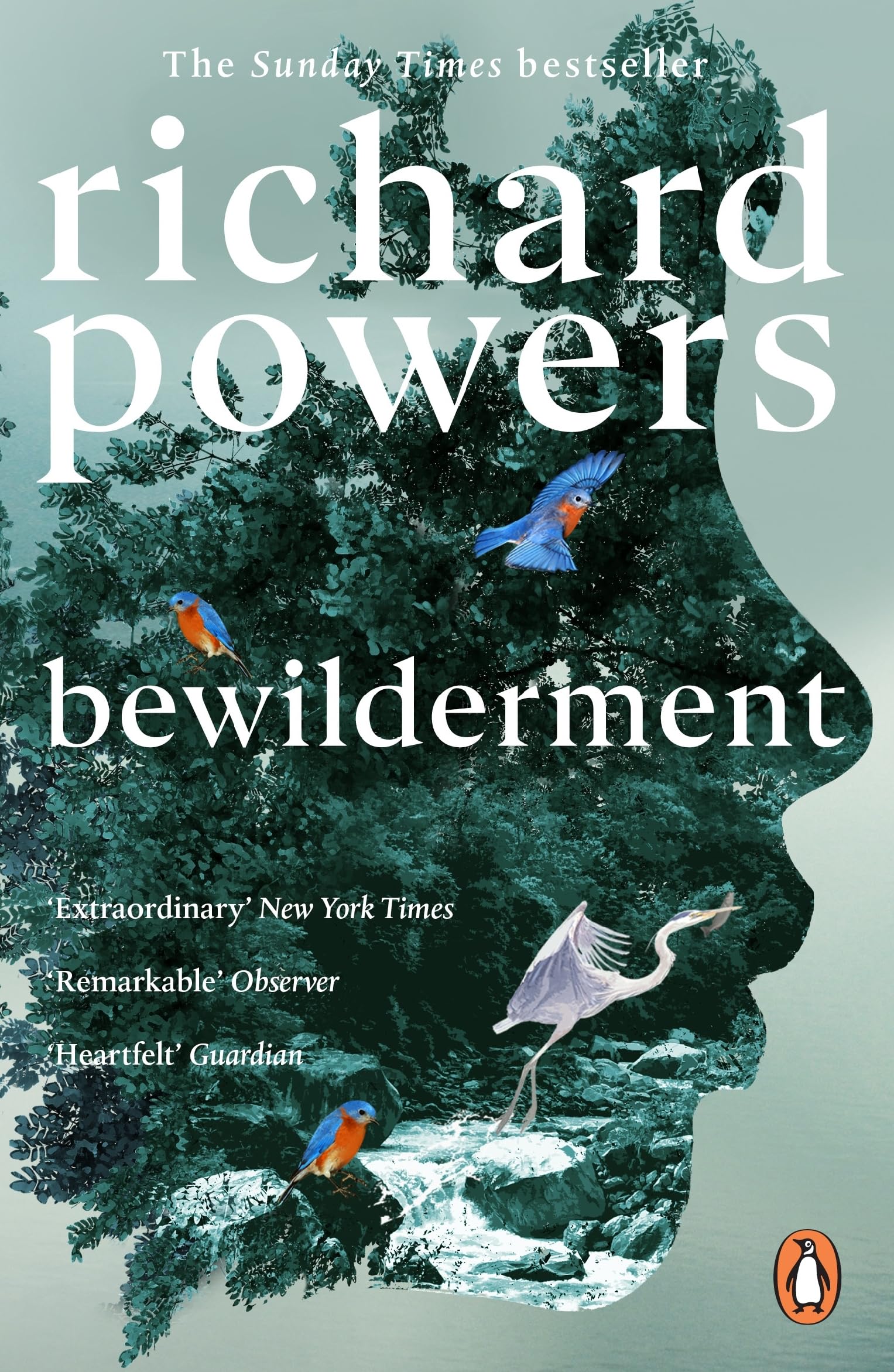 Bewilderment: Amazon.co.uk: Powers, Richard: 9781804951668: Books