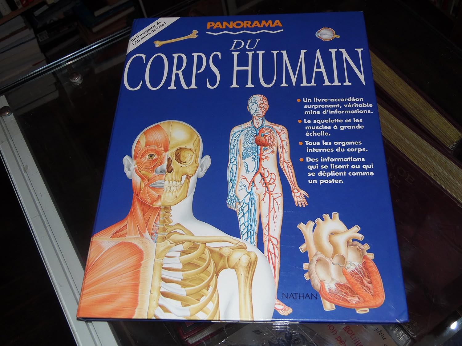 Amazon.fr - Le corps humain - Livres