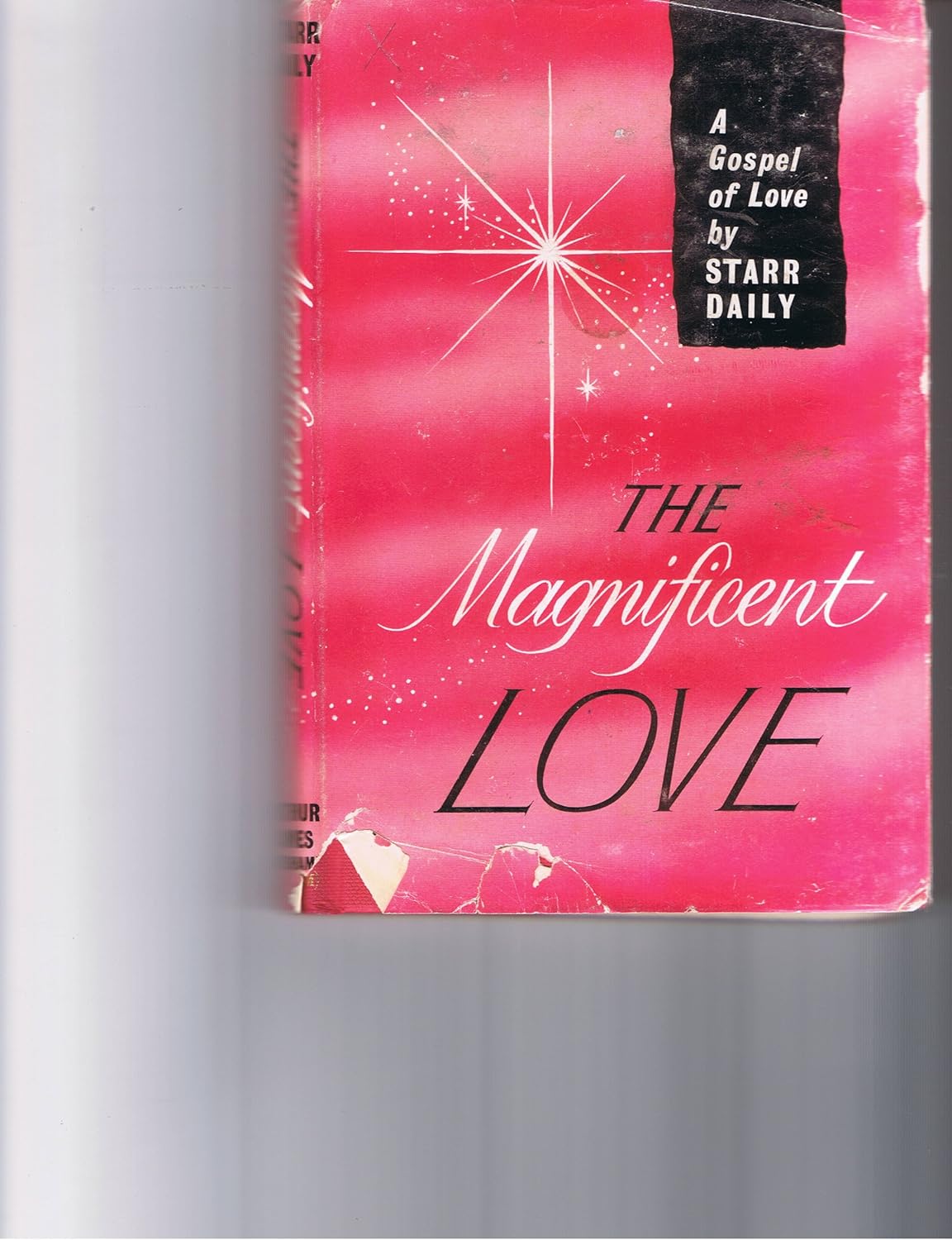 The Magnificent Love: a Gospel of Divine Love Based on the Sermon on ...