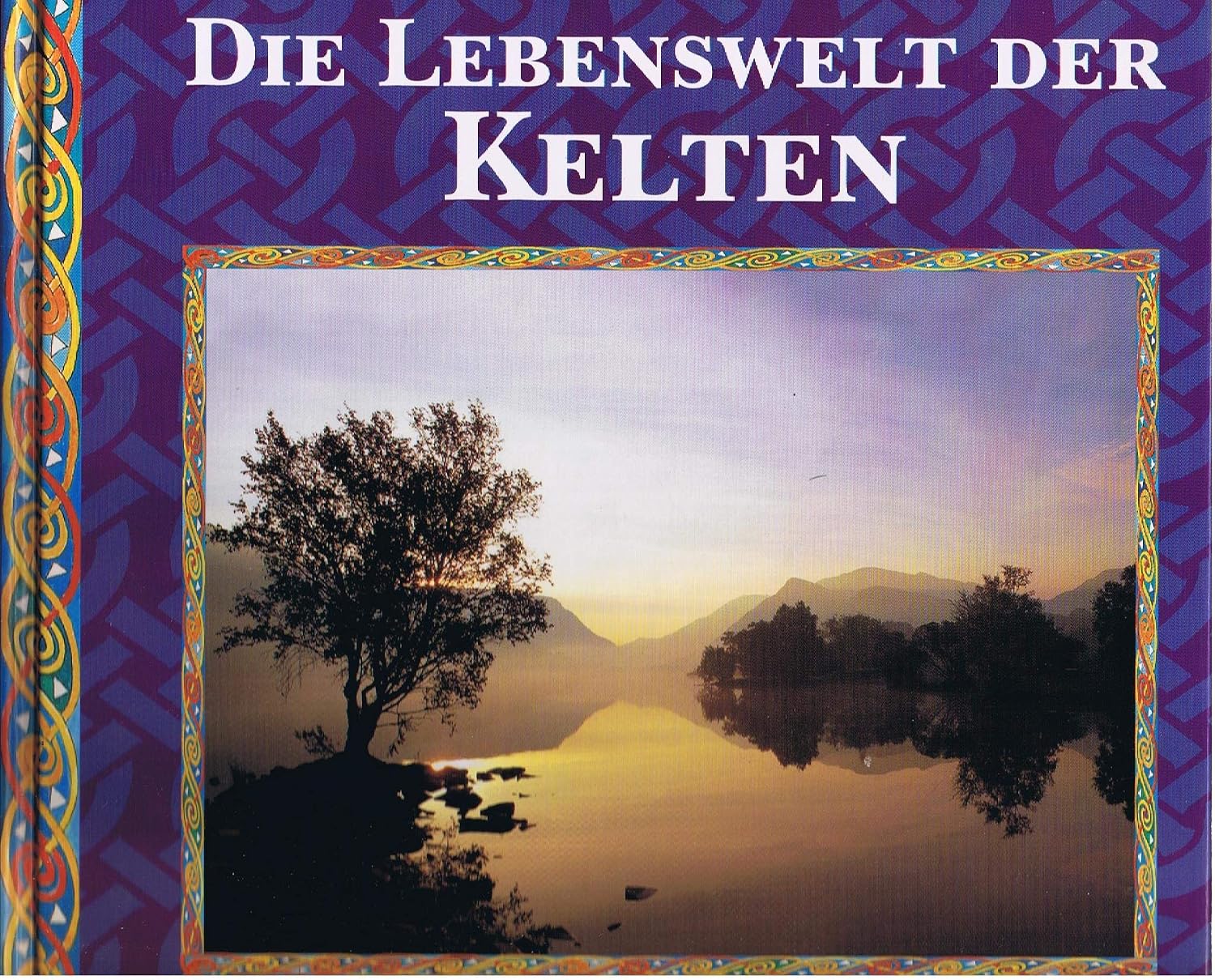 Amazon.co.jp: Die Lebenswelt der Kelten. Alltag, Kunst und Mythen ...
