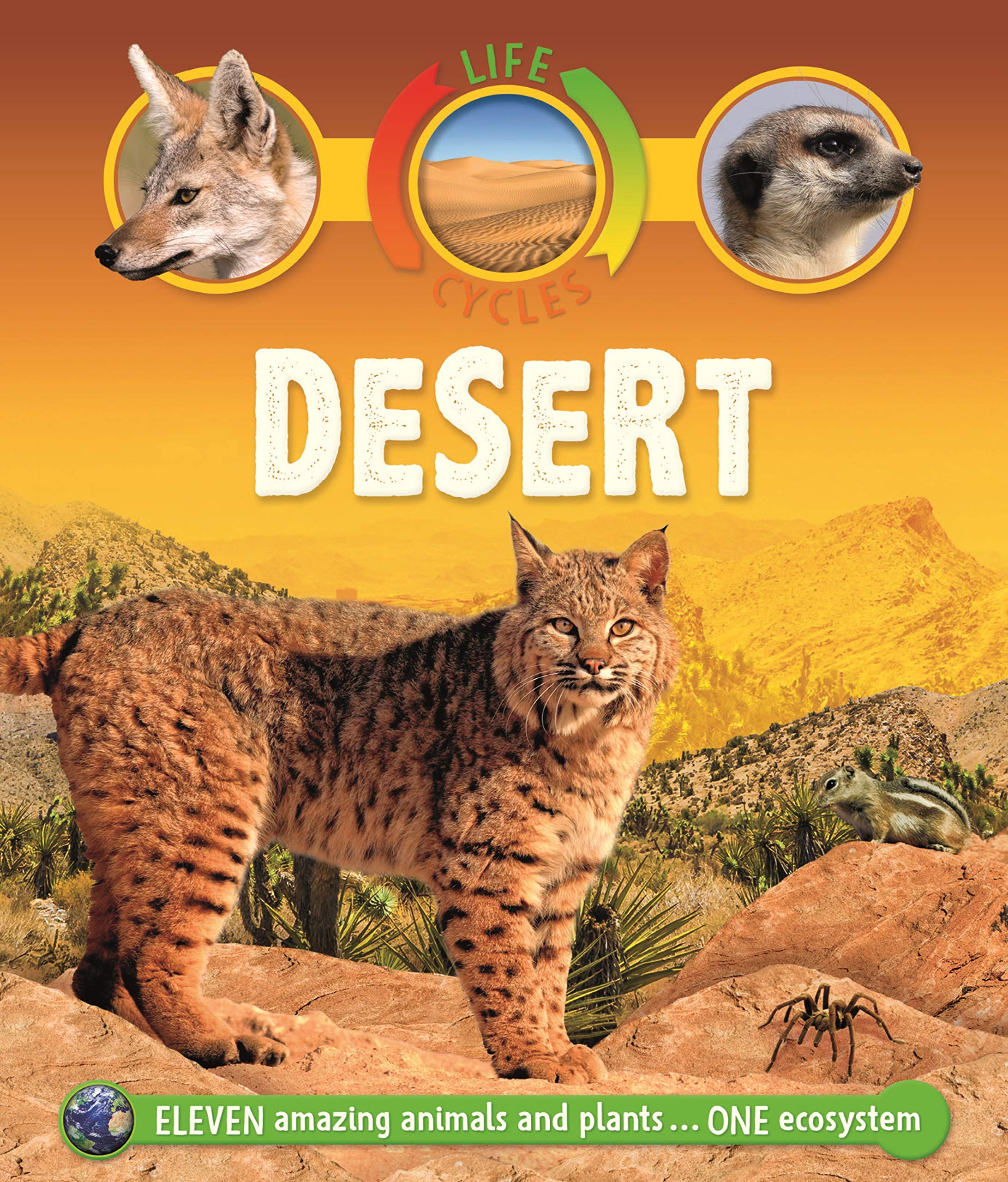 Life Cycles: Desert: Callery, Sean: 9780753442869: Amazon.com: Books