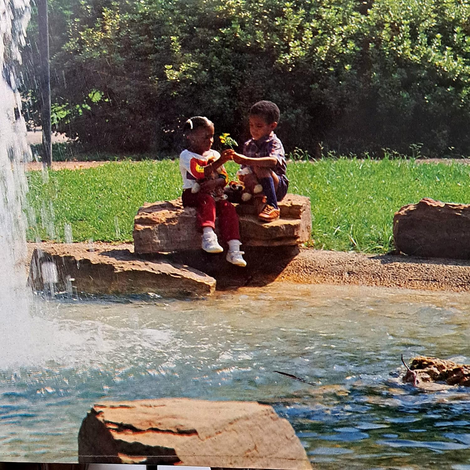 First Love (3) - The First Love - Amazon.com Music