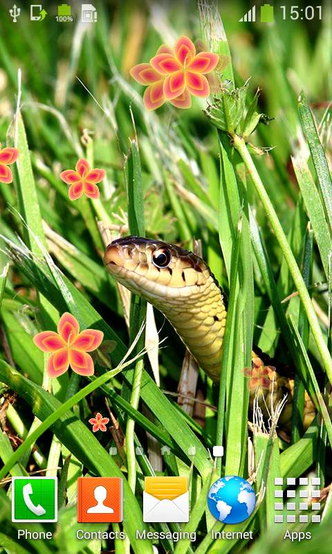 Snake Live Wallpapers:Amazon.com:Appstore for Android