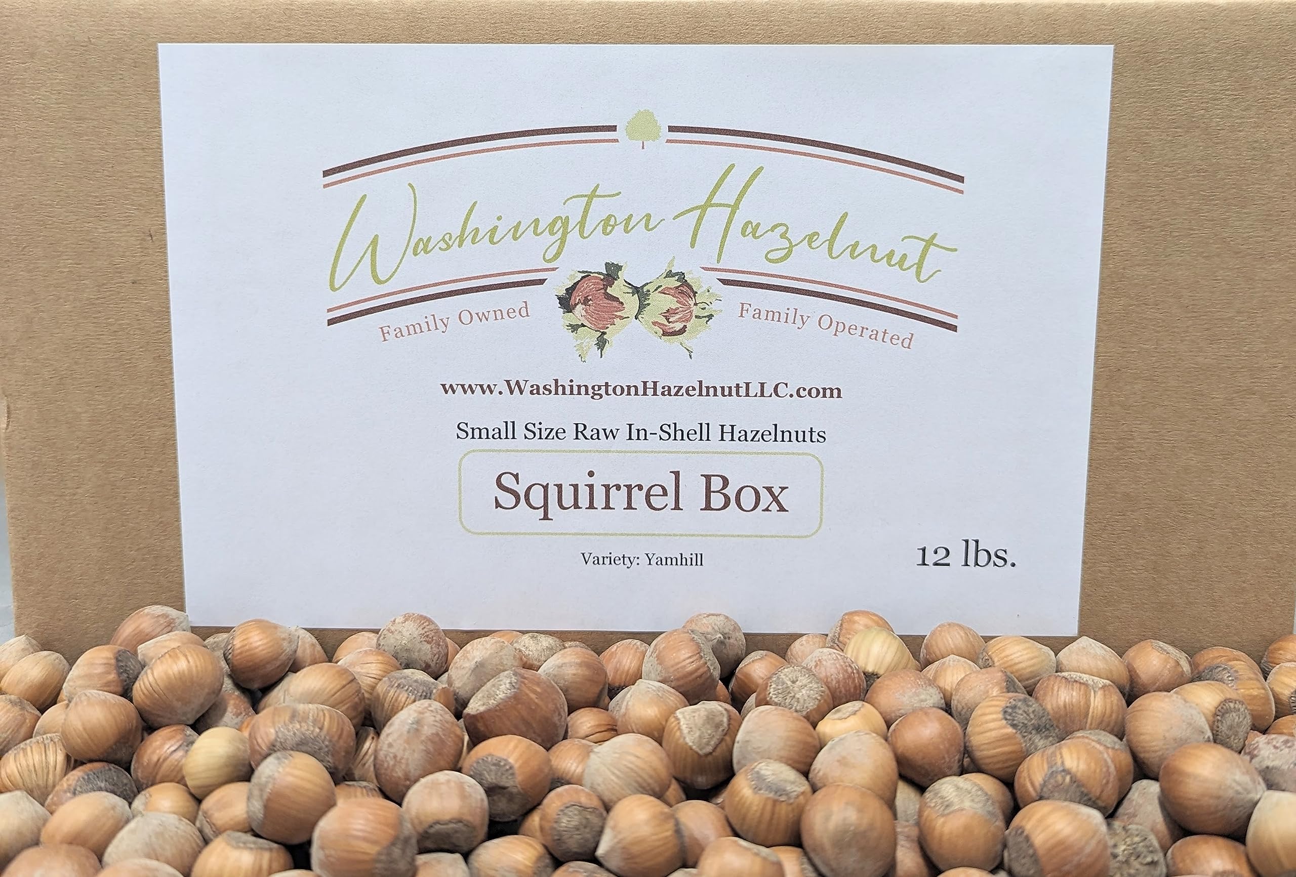 Amazon.com : Hazelnuts in shell, Raw or roasted. Grown in our family's ...