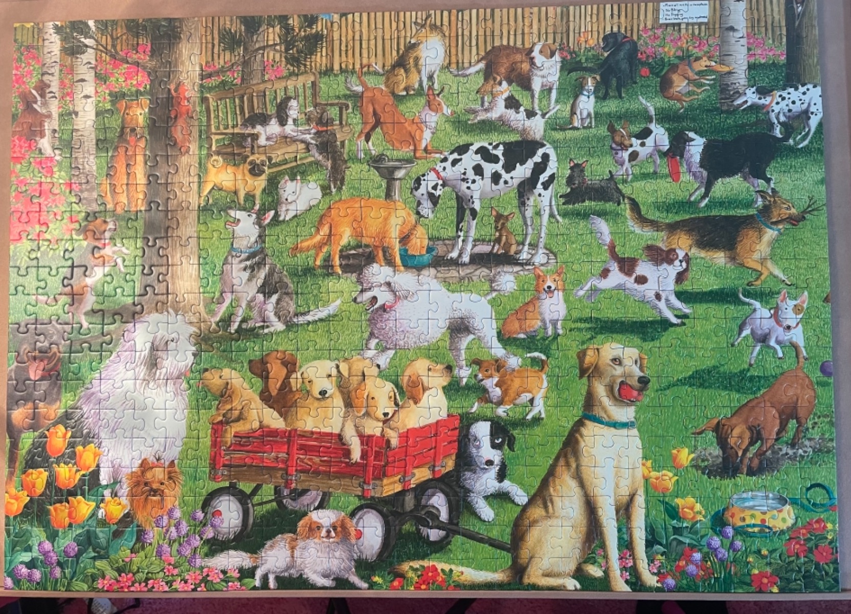 Ravensburger - At the Dog Park Puzzle 500 Pieces : Amazon.com.au: Toys ...