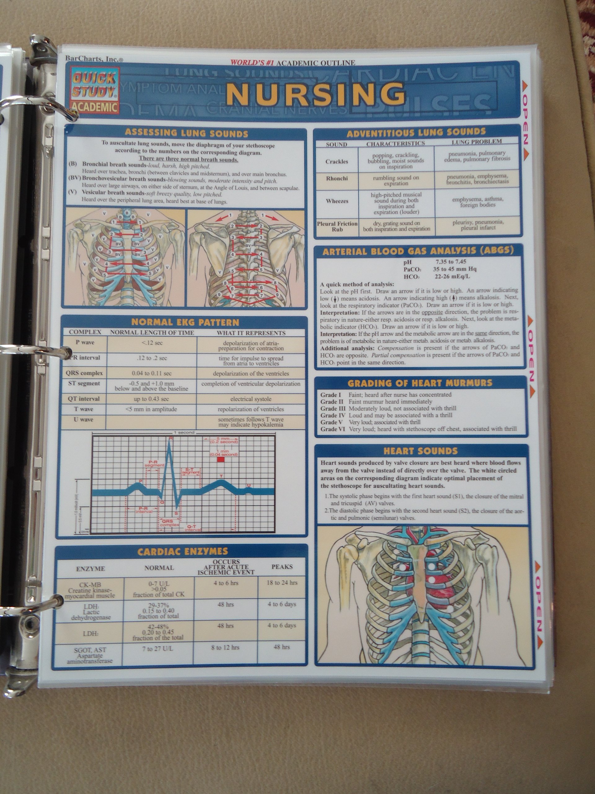 Nursing (Quickstudy: Academic): BarCharts, Inc.: 9781572224933: Amazon ...