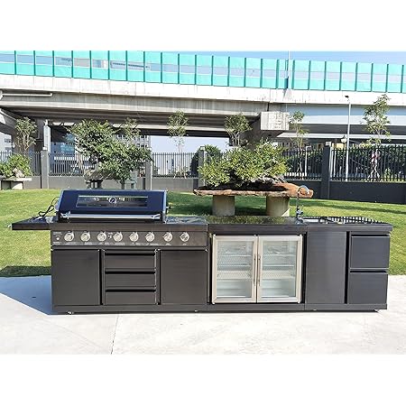 Amazon.com: Weber Summit S-460 Built-In Natural Gas in Stainless Steel ...