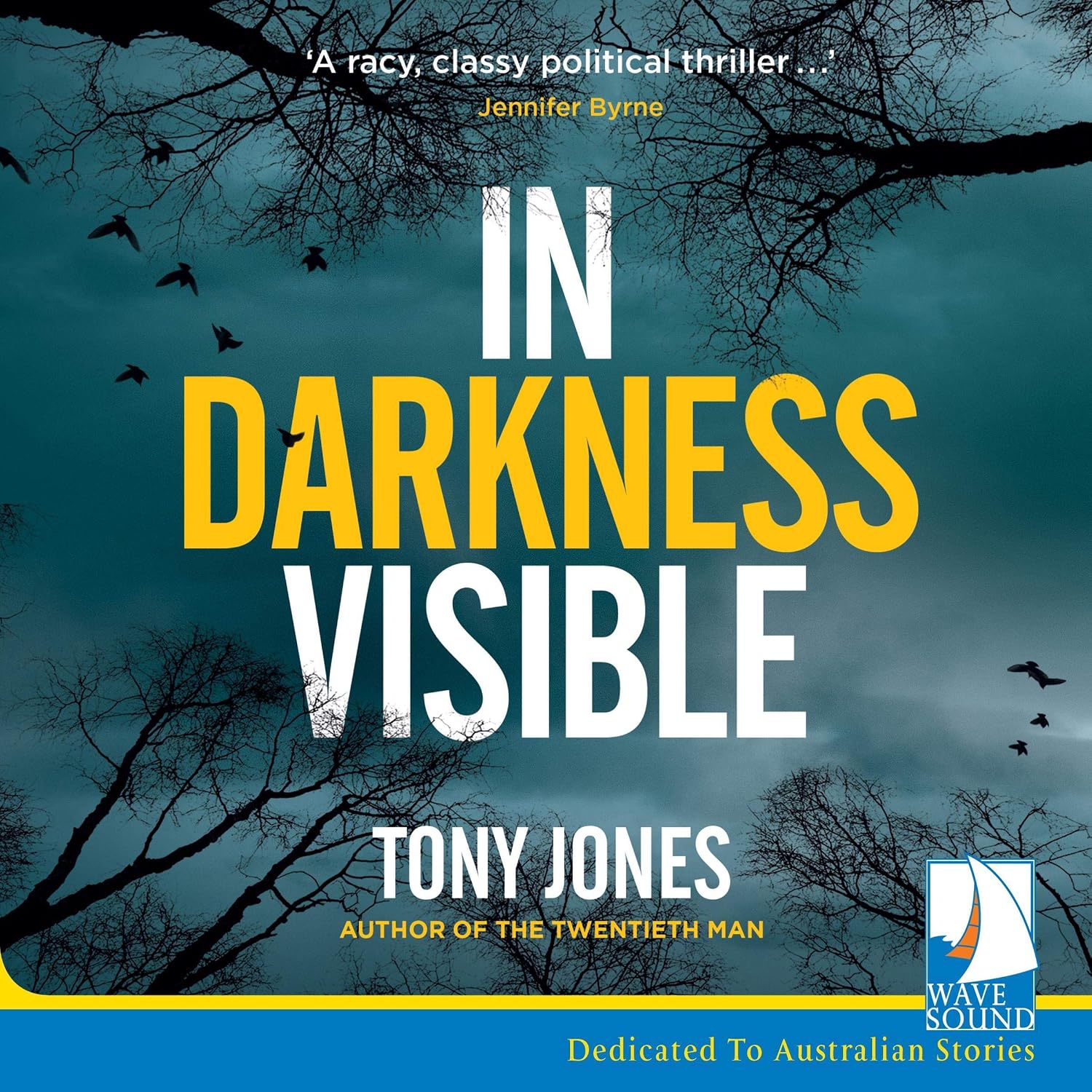 Amazon.com: In Darkness Visible (Audible Audio Edition): Tony Jones ...