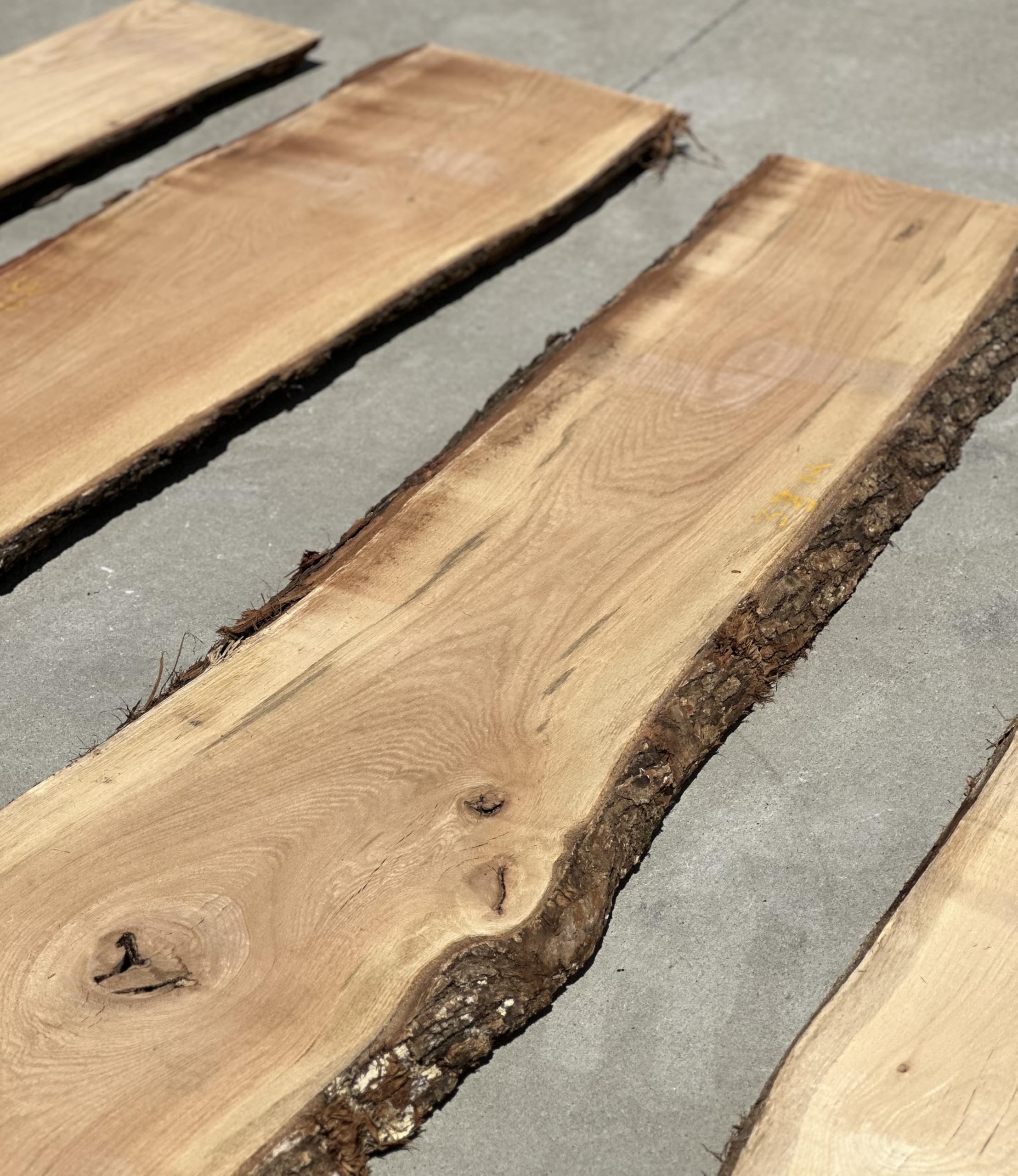 Live Edge Tree Slabs Live Edge Dining Table Slabs — Urban Oak
