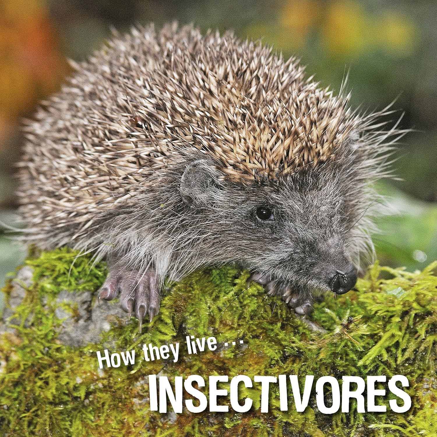 Amazon.com: How they live... Insectivores: Learn All There Is to Know ...