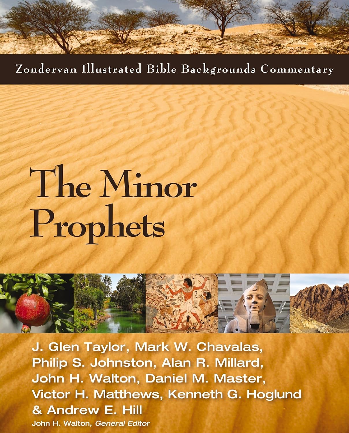 The Minor Prophets (Zondervan Illustrated Bible Backgrounds Commentary ...